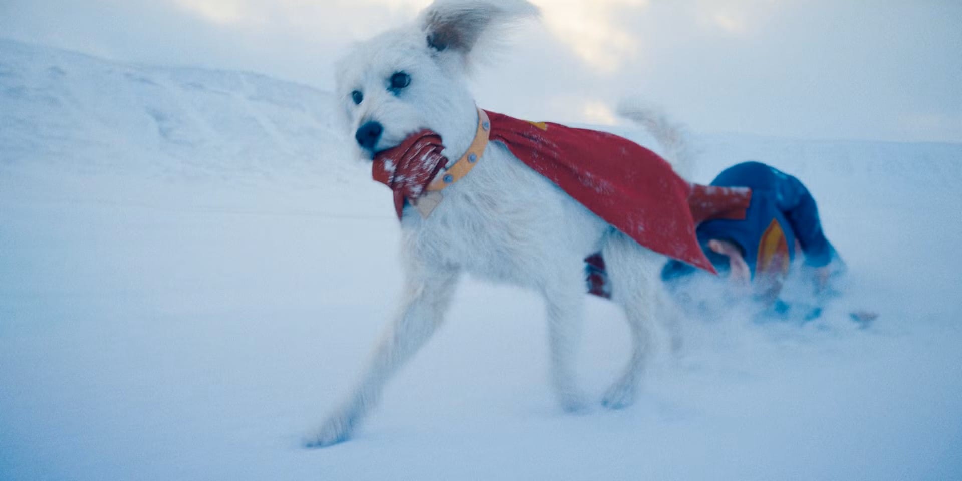 ‘Superman’-regisseur James Gunn baseerde Krypto op zijn eigen hond ...