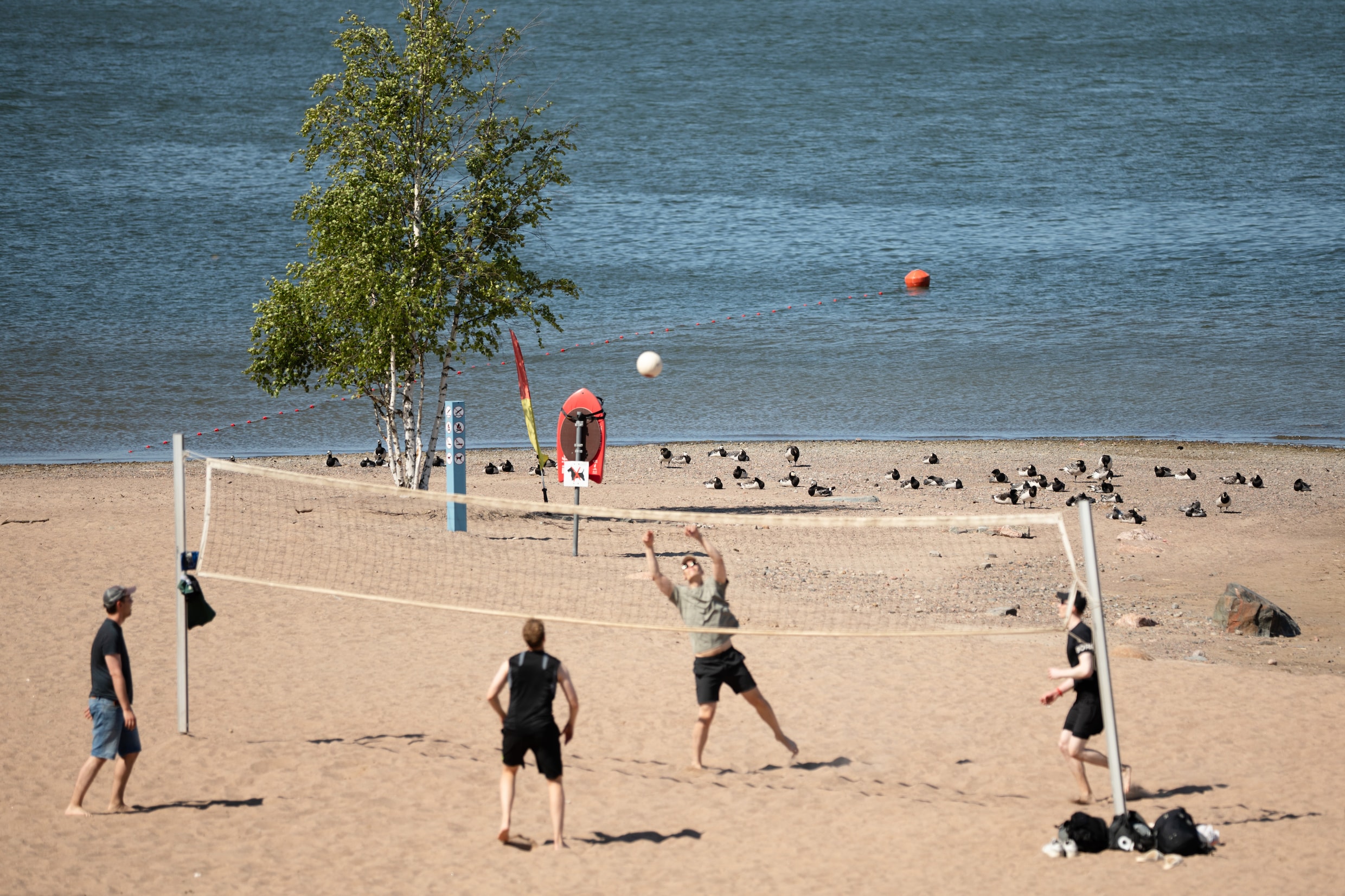 Finnen zoeken wanhopig naar oplossingen om hun zomer te redden van de ...