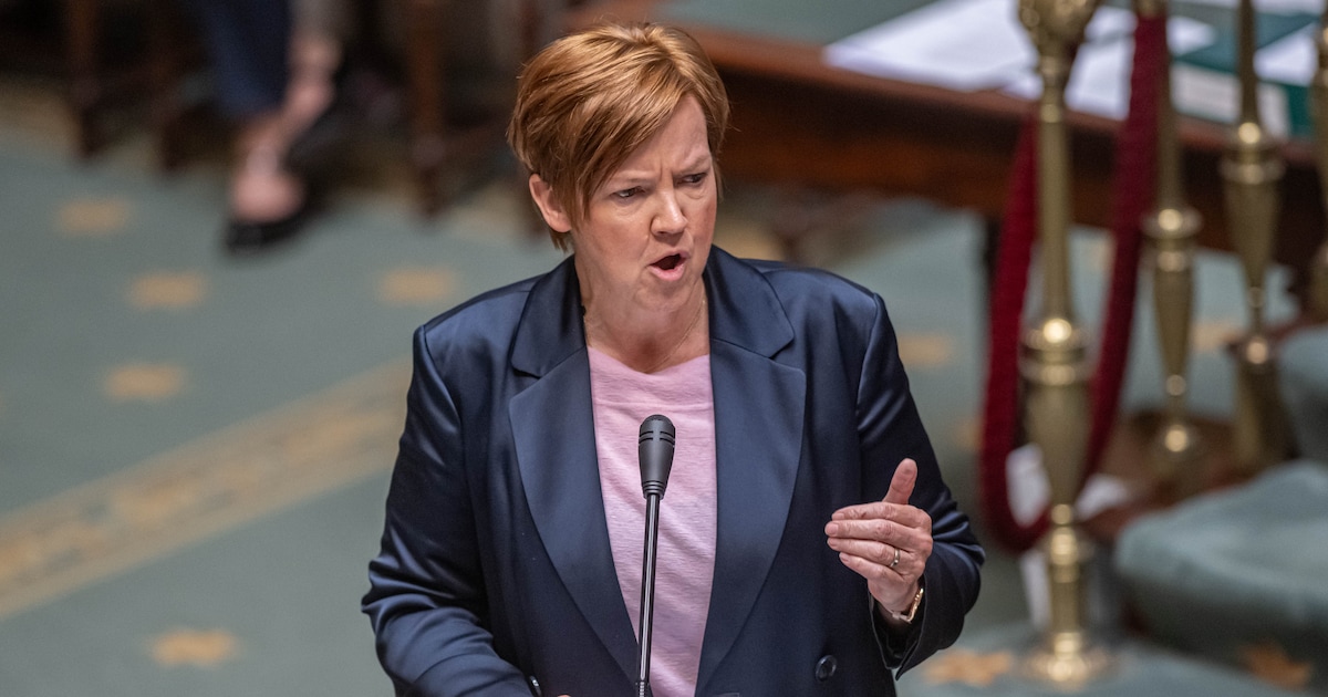 Els Van Hoof over de Gaza-crisis: ‘Een regeringsval lost niets op’ | De ...