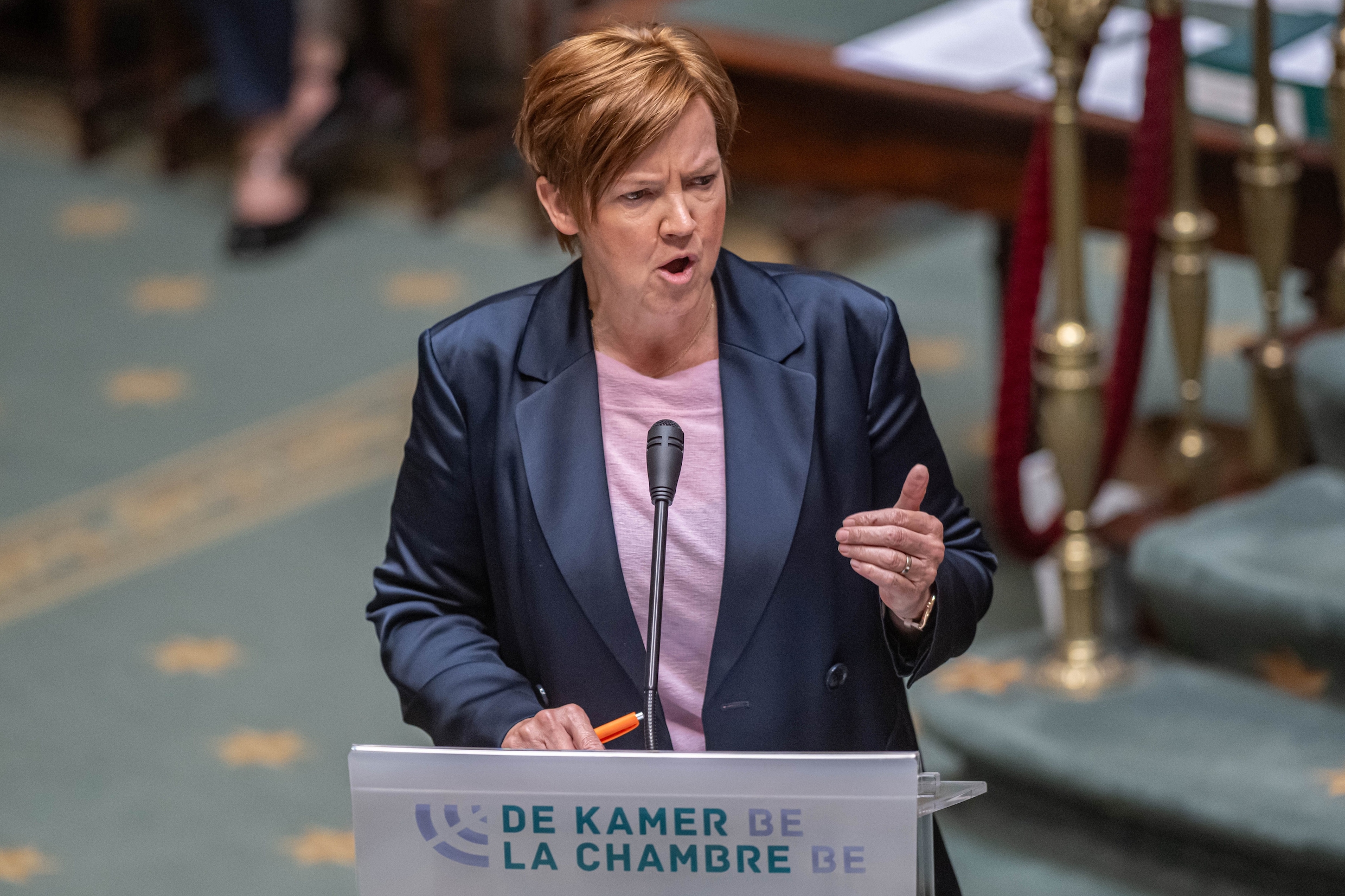 Els Van Hoof over de Gaza-crisis: ‘Een regeringsval lost niets op’ | De ...