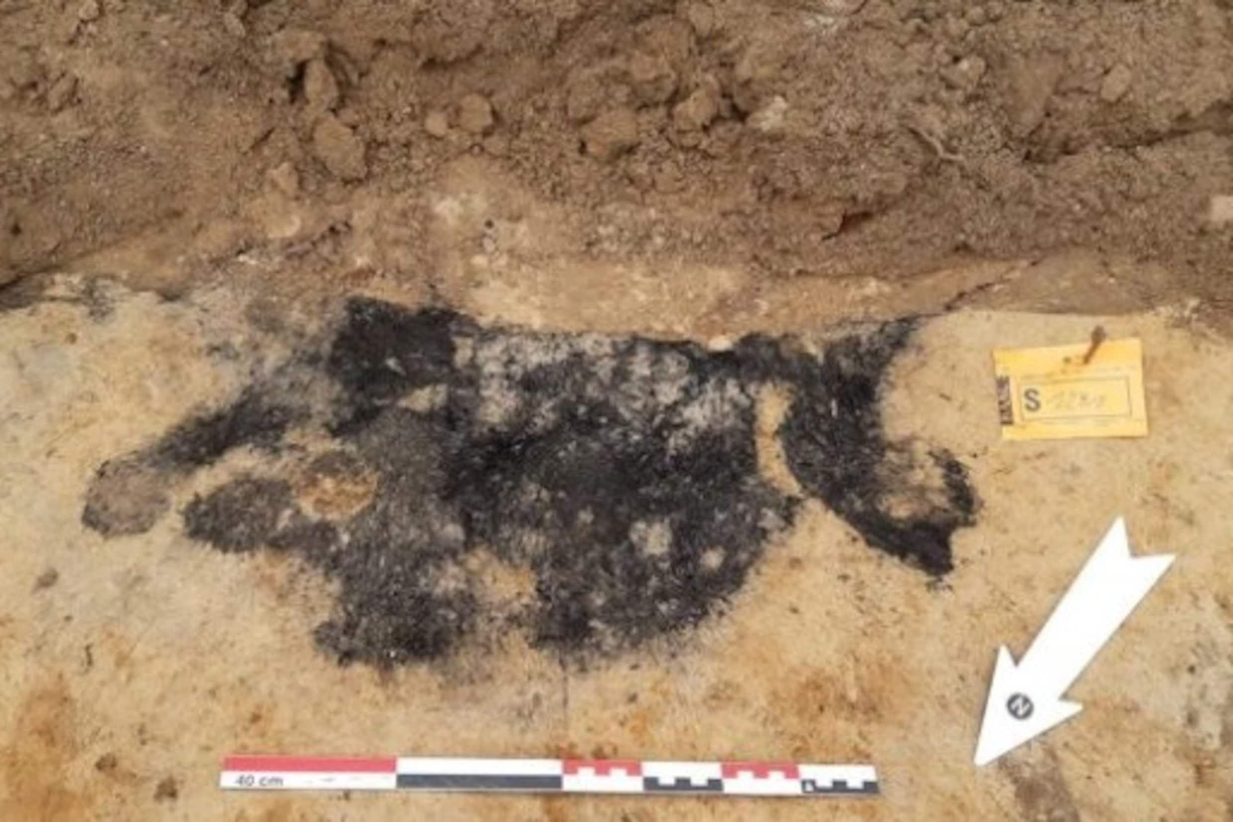 Archeologen vinden Romeins graf, middeleeuwse grachten en 250 skeletten ...