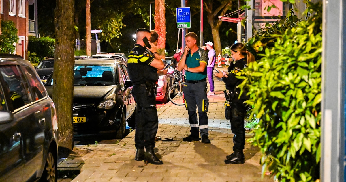 Twee honden bijten man dood in zijn woning in Rotterdam: ‘De American ...