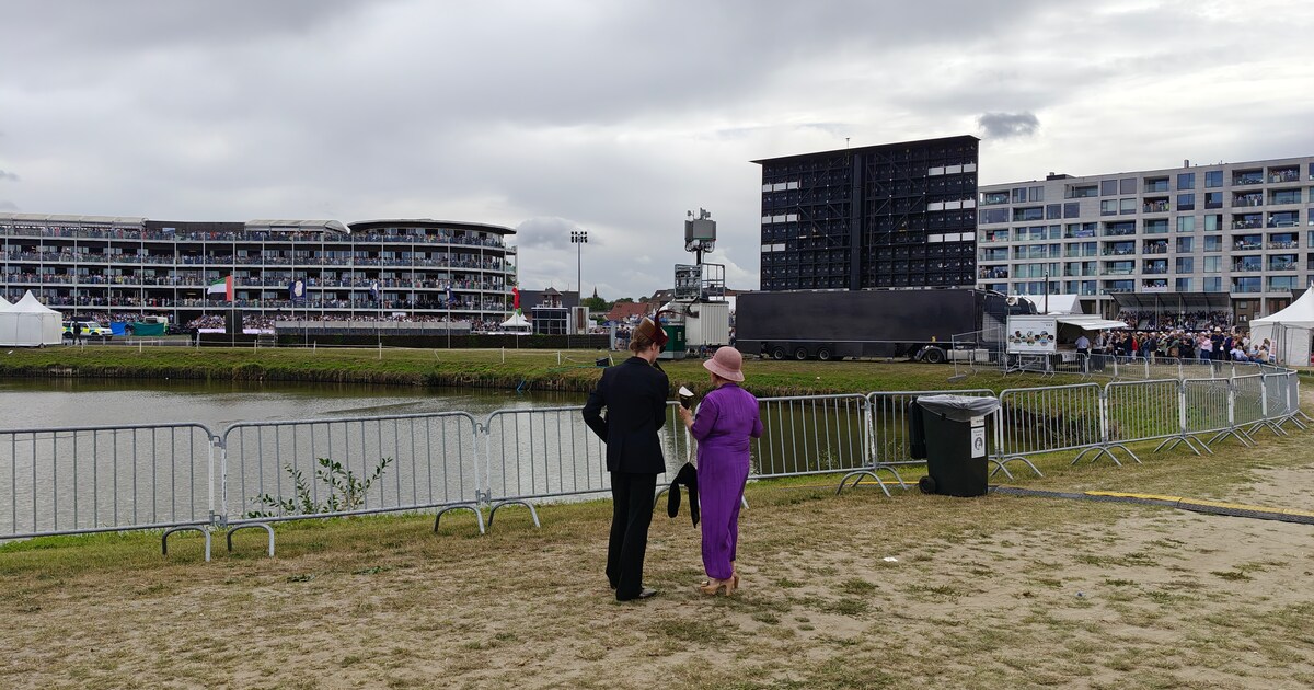 Van Laurenz tot Laurent: wat ik leerde tijdens mijn eerste dag op Waregem Koerse | De Morgen