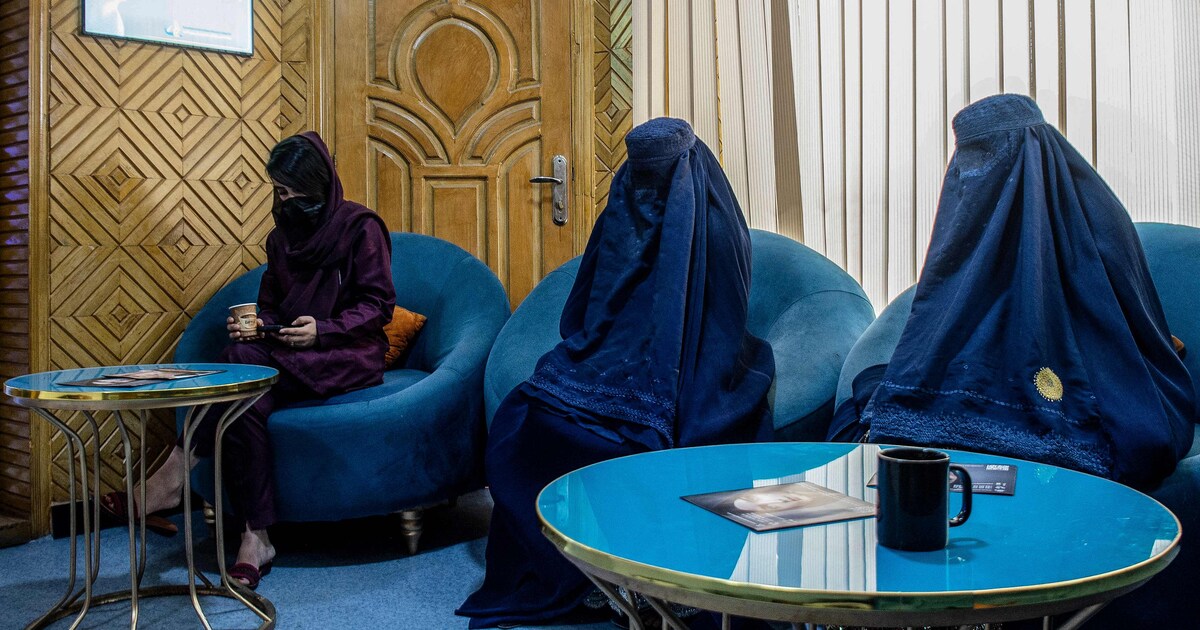 Botox en boerka’s in Afghanistan | De Morgen
