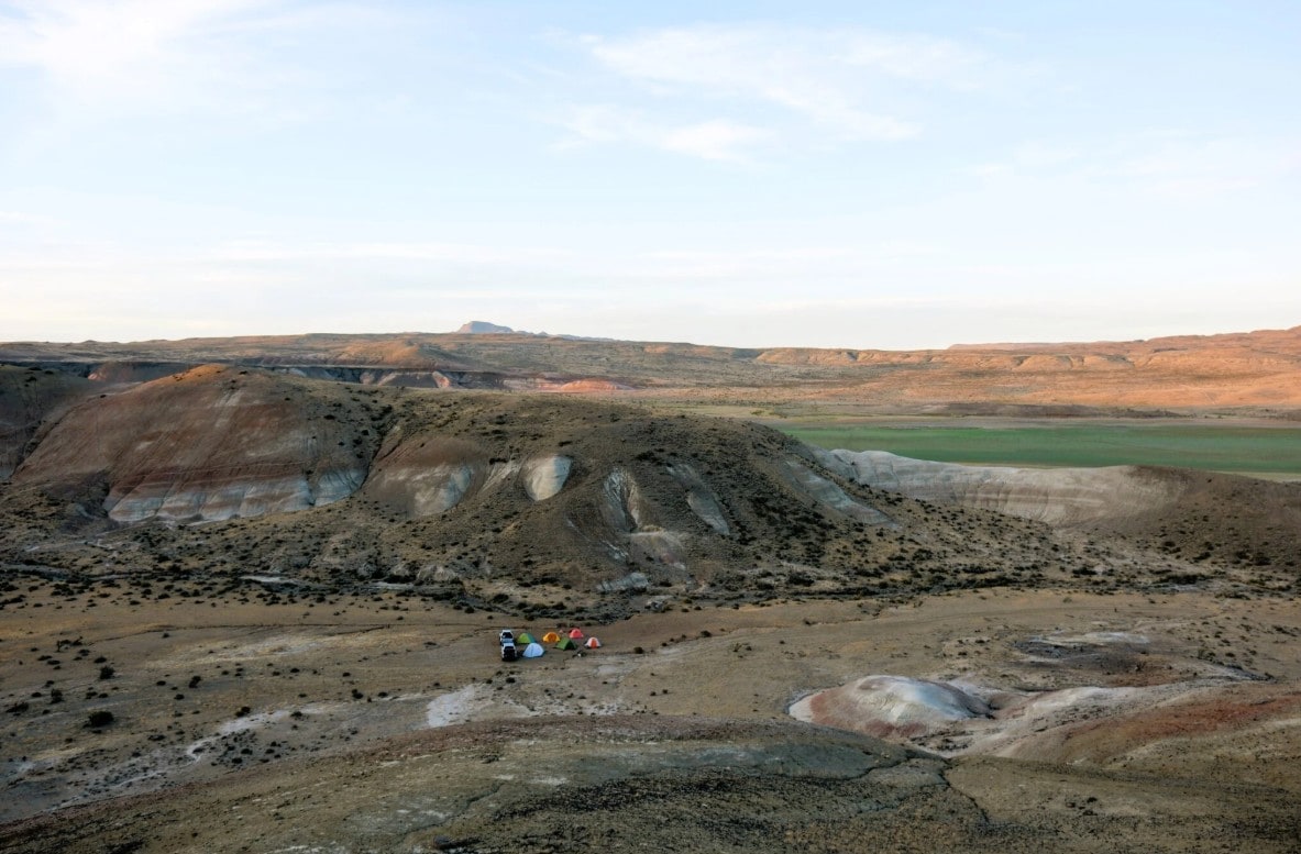 Unieke vondst van nieuwe dinosaurussoort: zeven meter lang, met ...