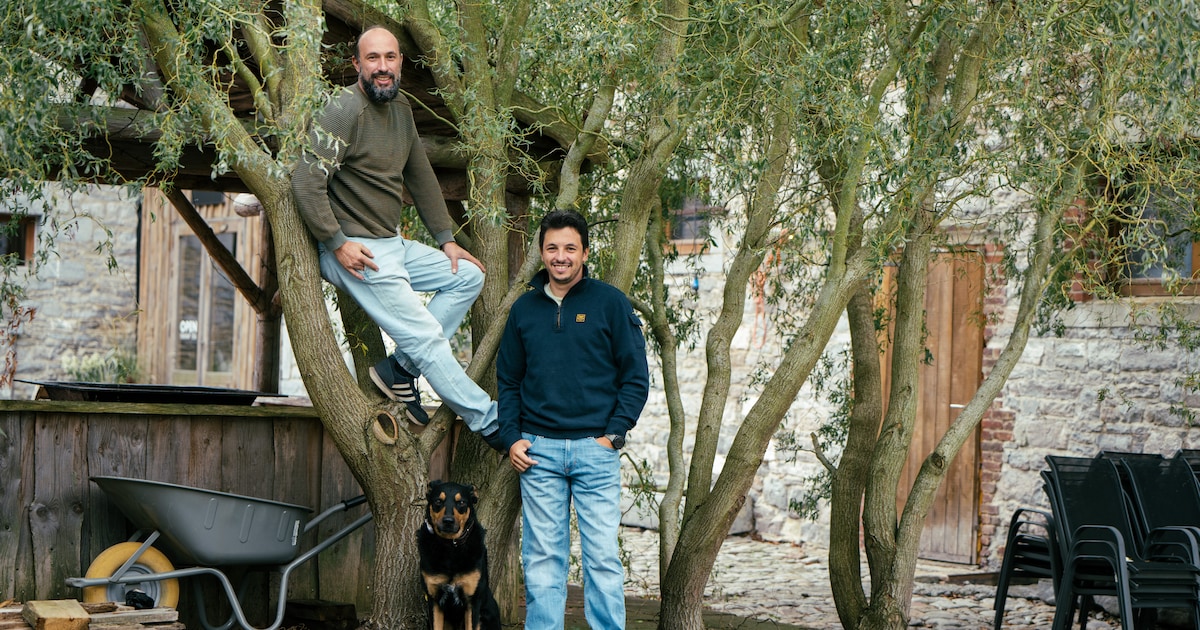 Francesco en Junior Planckaert: ‘Ik heb Junior voor een groot deel mee ...