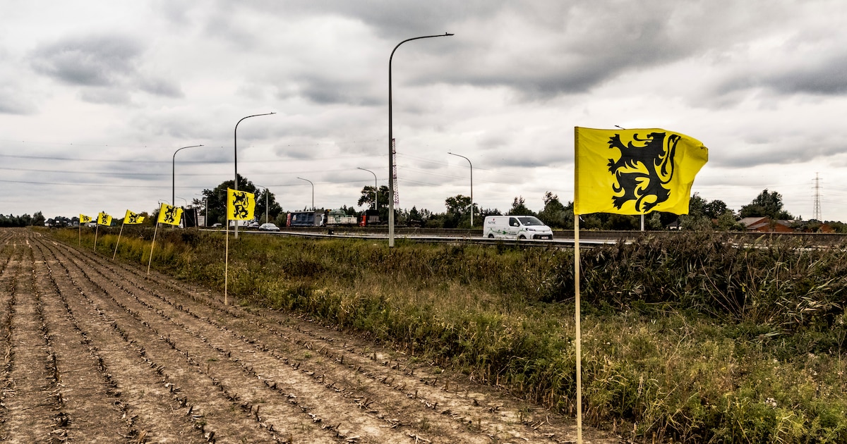 Vlaamse Leeuwen langs de snelweg: racistisch statement of symbool van ...