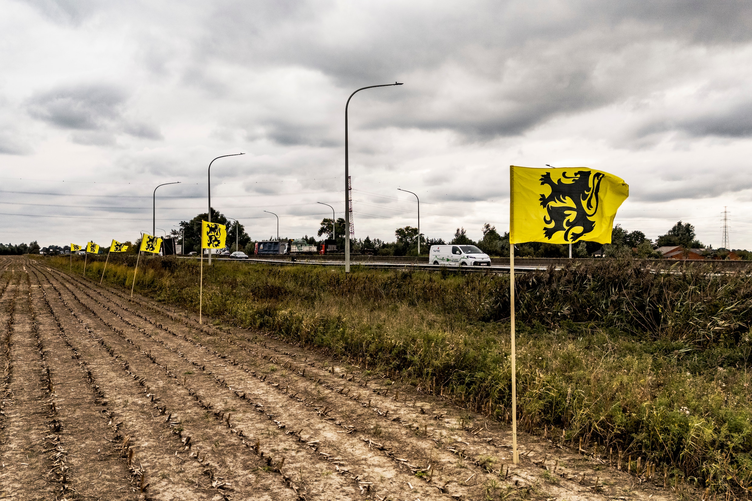 Vlaamse Leeuwen langs de snelweg: racistisch statement of symbool van ...