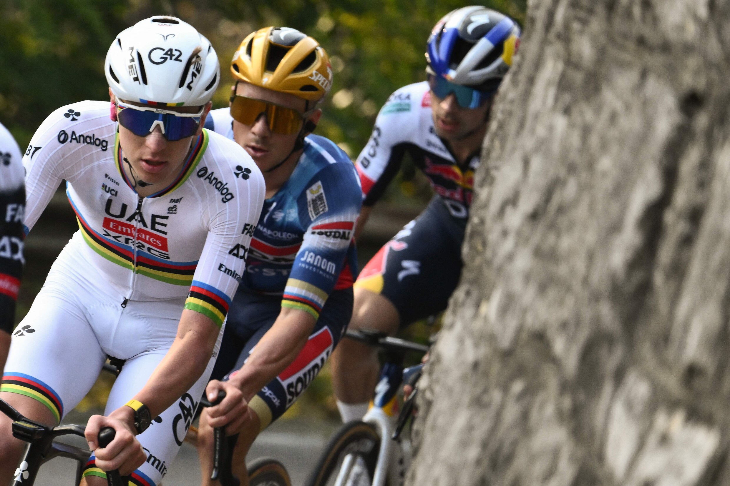 Remco Evenepoel krijgt nieuwe coach bij Red Bull-BORA-hansgrohe: wie is ...