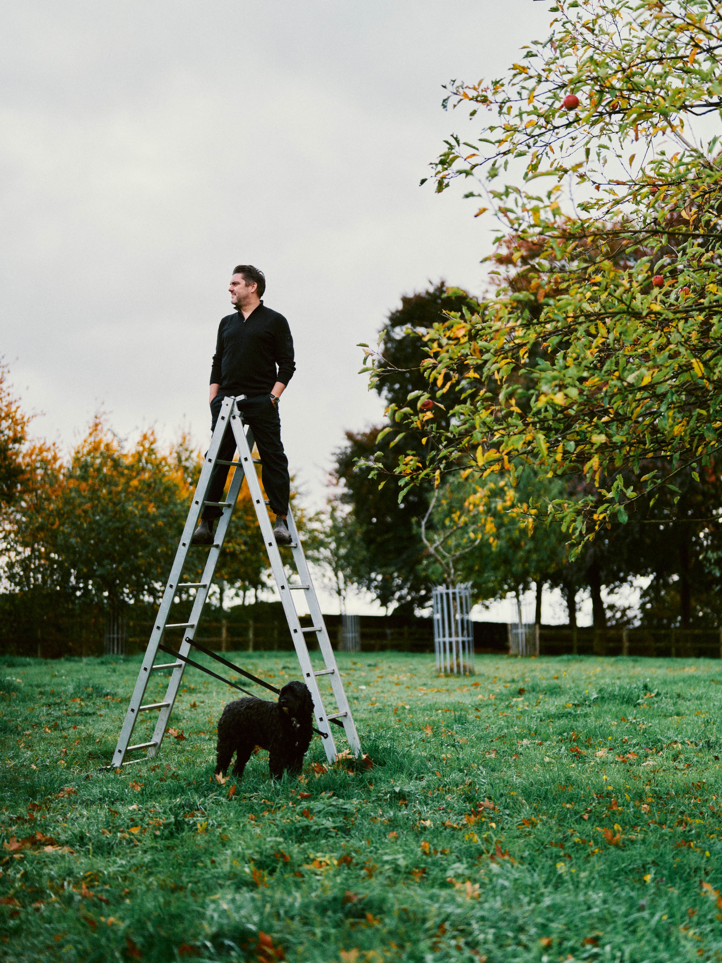 Jeroen Meus: ‘Ik voel dat ik geen zin meer heb om te incasseren’ | De ...