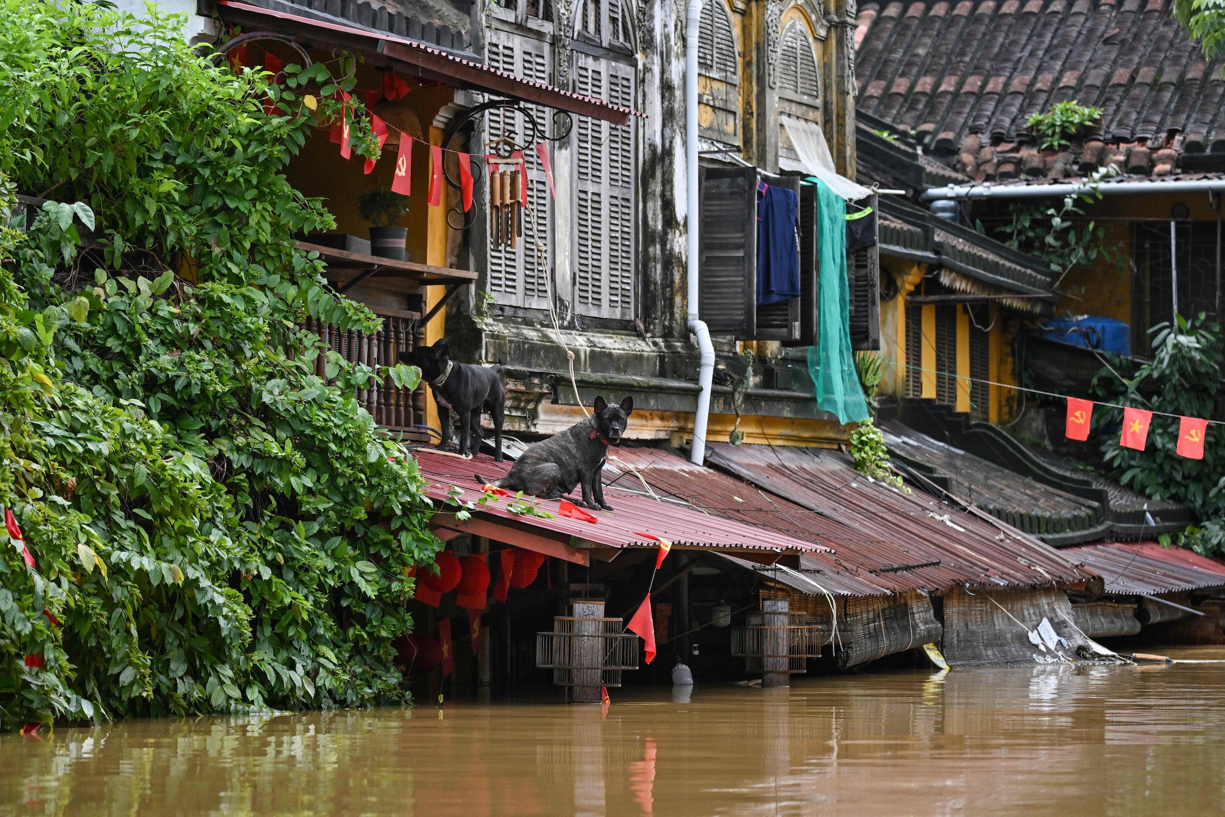 Extreme regenval verandert straten in kanalen in centraal Vietnam: meerdere doden, ook elf ...