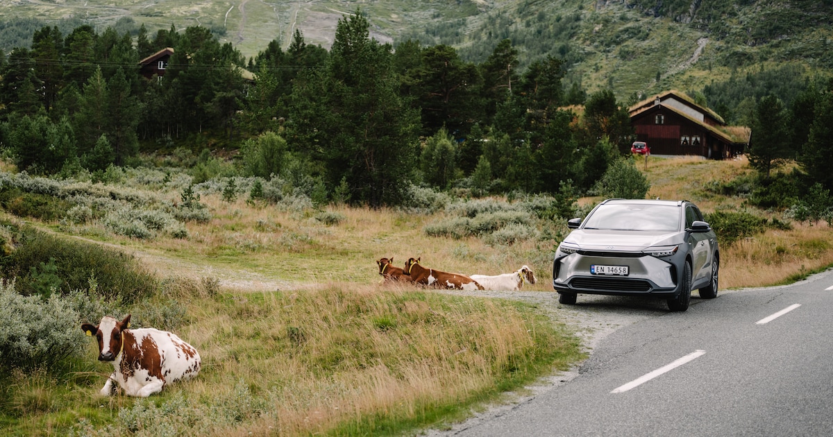 Drie Noren over de elektrische-autorevolutie in hun land: ‘We stapelden ...