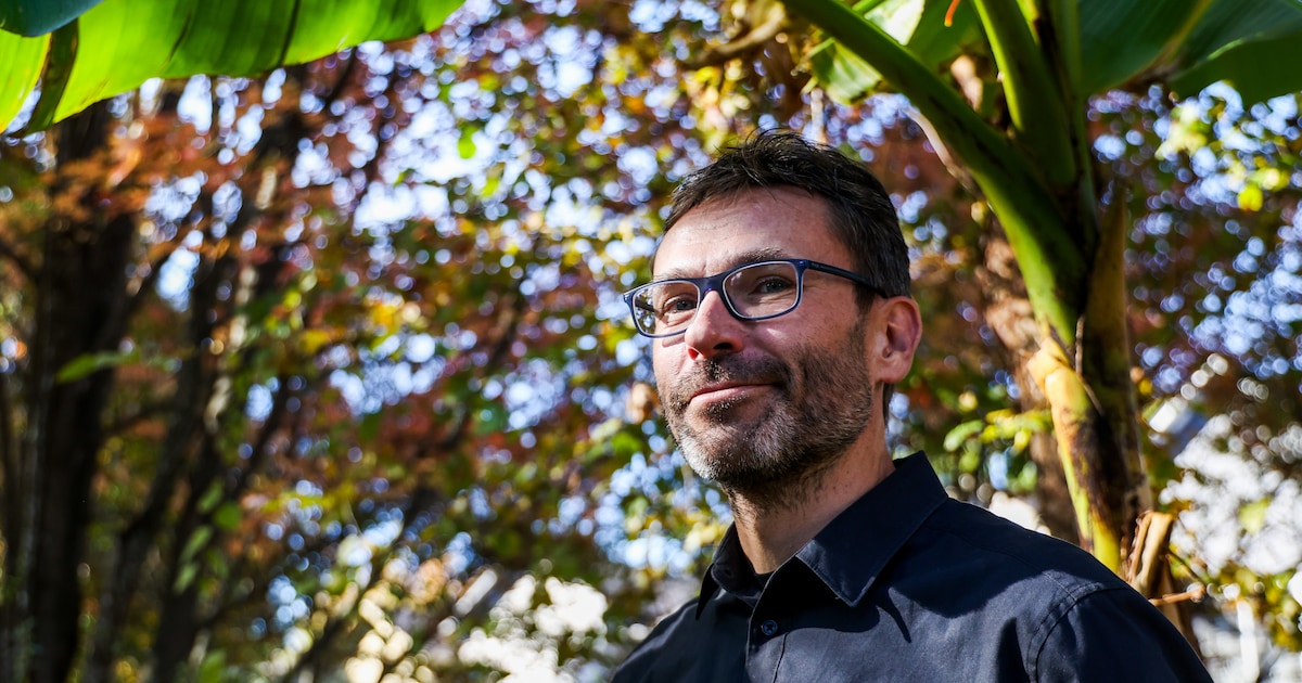 ‘Chimpansees verwijderen wormen uit hun darmen door bitterblad te eten ...