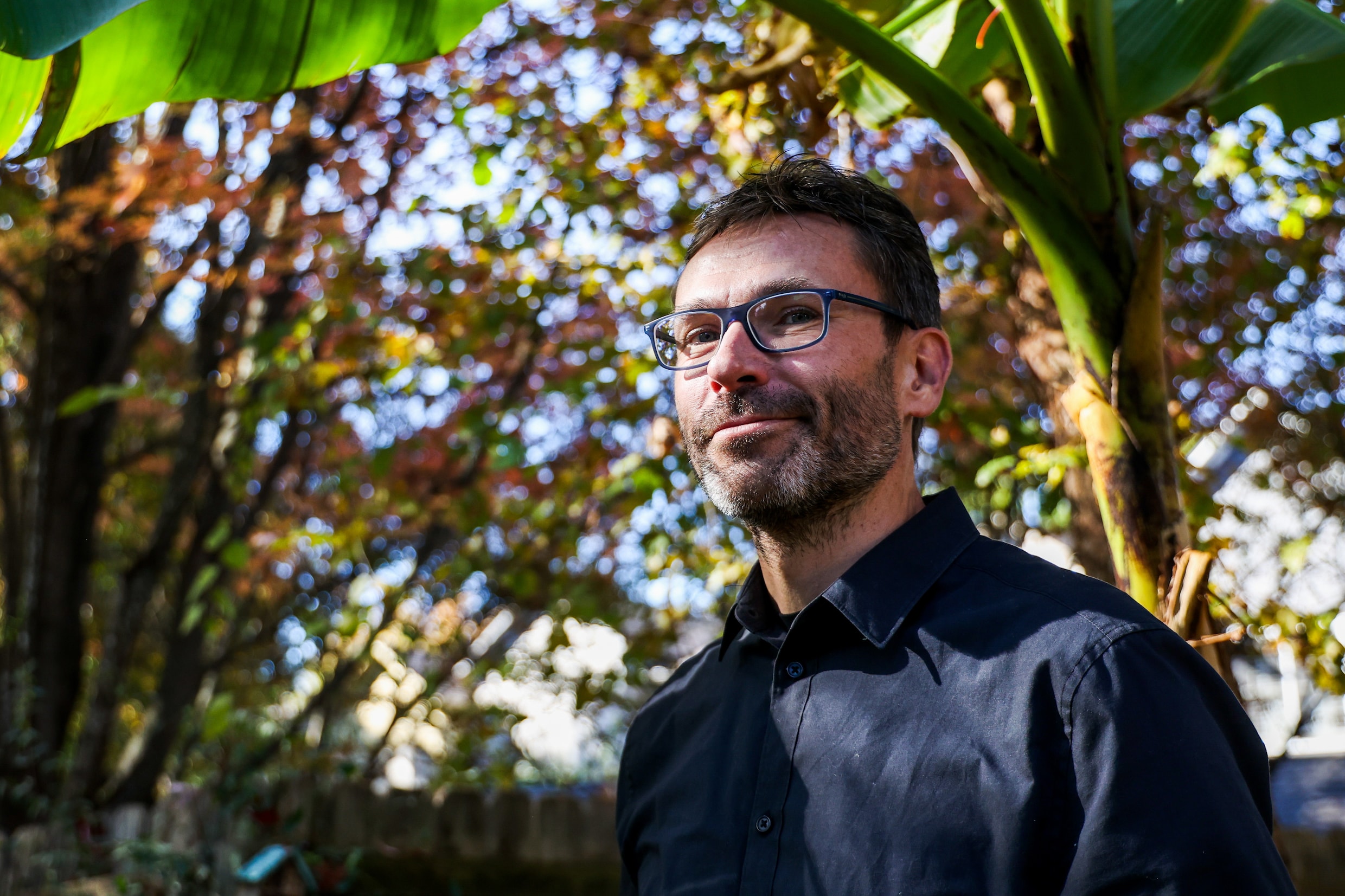 ‘Chimpansees verwijderen wormen uit hun darmen door bitterblad te eten ...