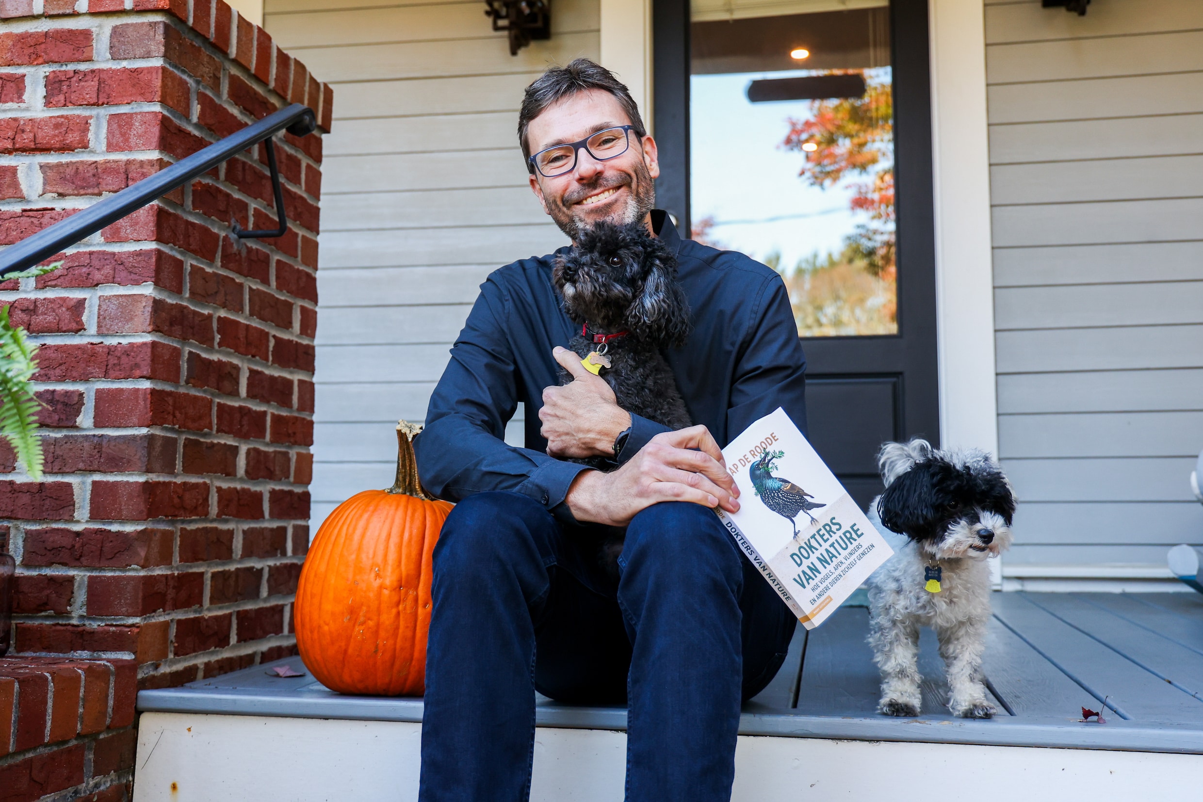 ‘Chimpansees verwijderen wormen uit hun darmen door bitterblad te eten ...