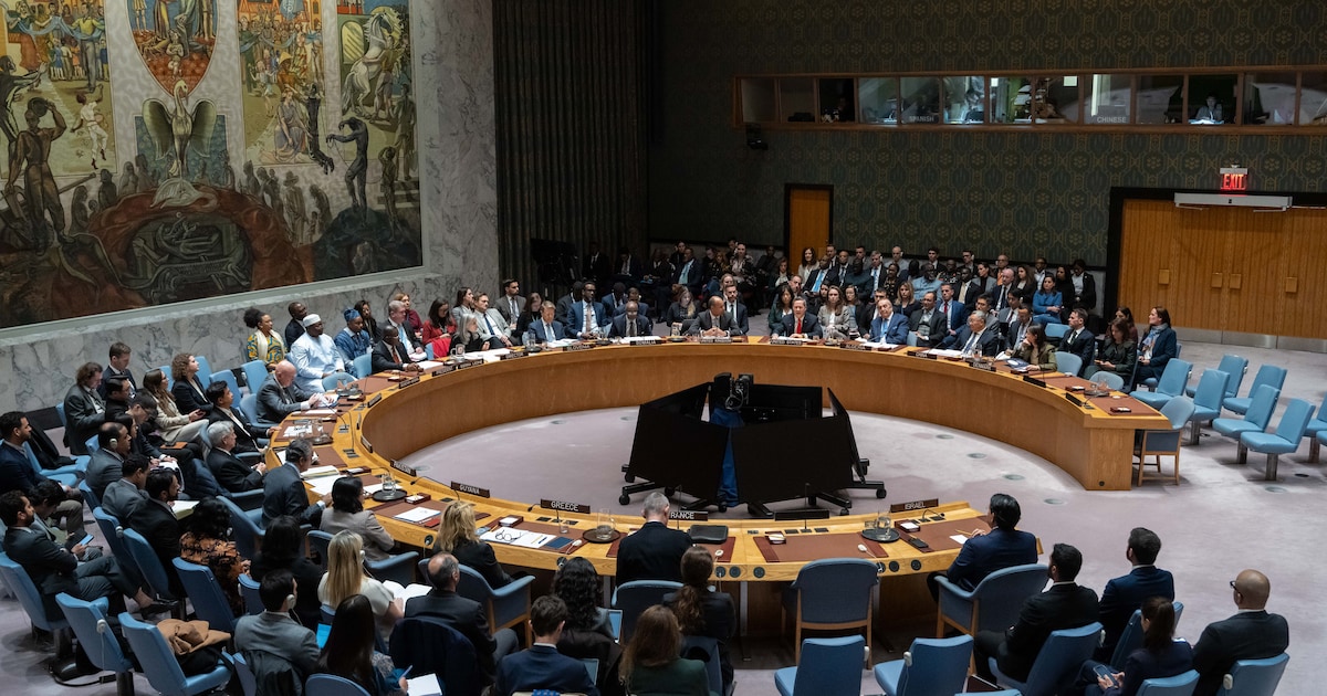 Trumps beoogde internationale troepenmacht voor Gaza krijgt van de ...