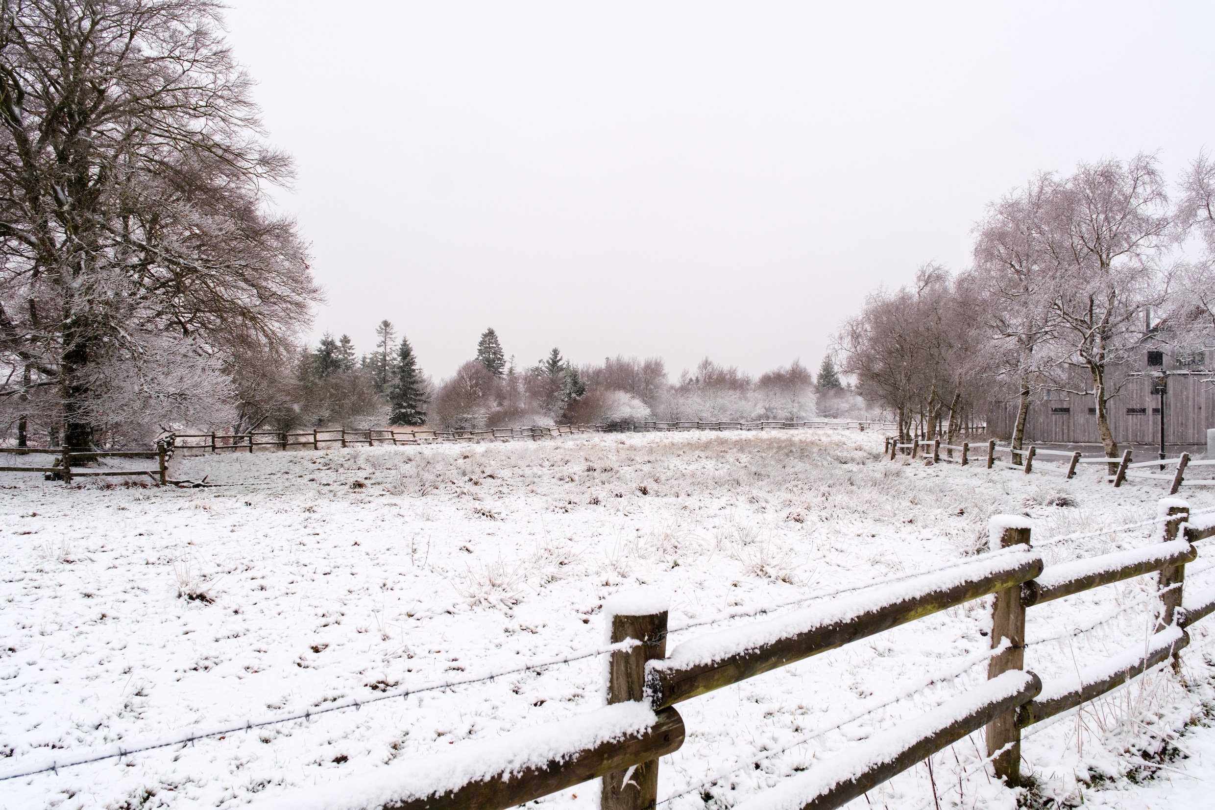 Koud weekend op komst: vannacht gaat het overal vriezen, volgende nacht ...