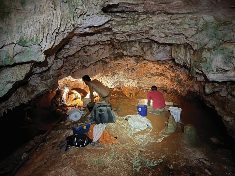 Unieke vondst: prehistorische bijen gebruikten 20.000 jaar geleden ...