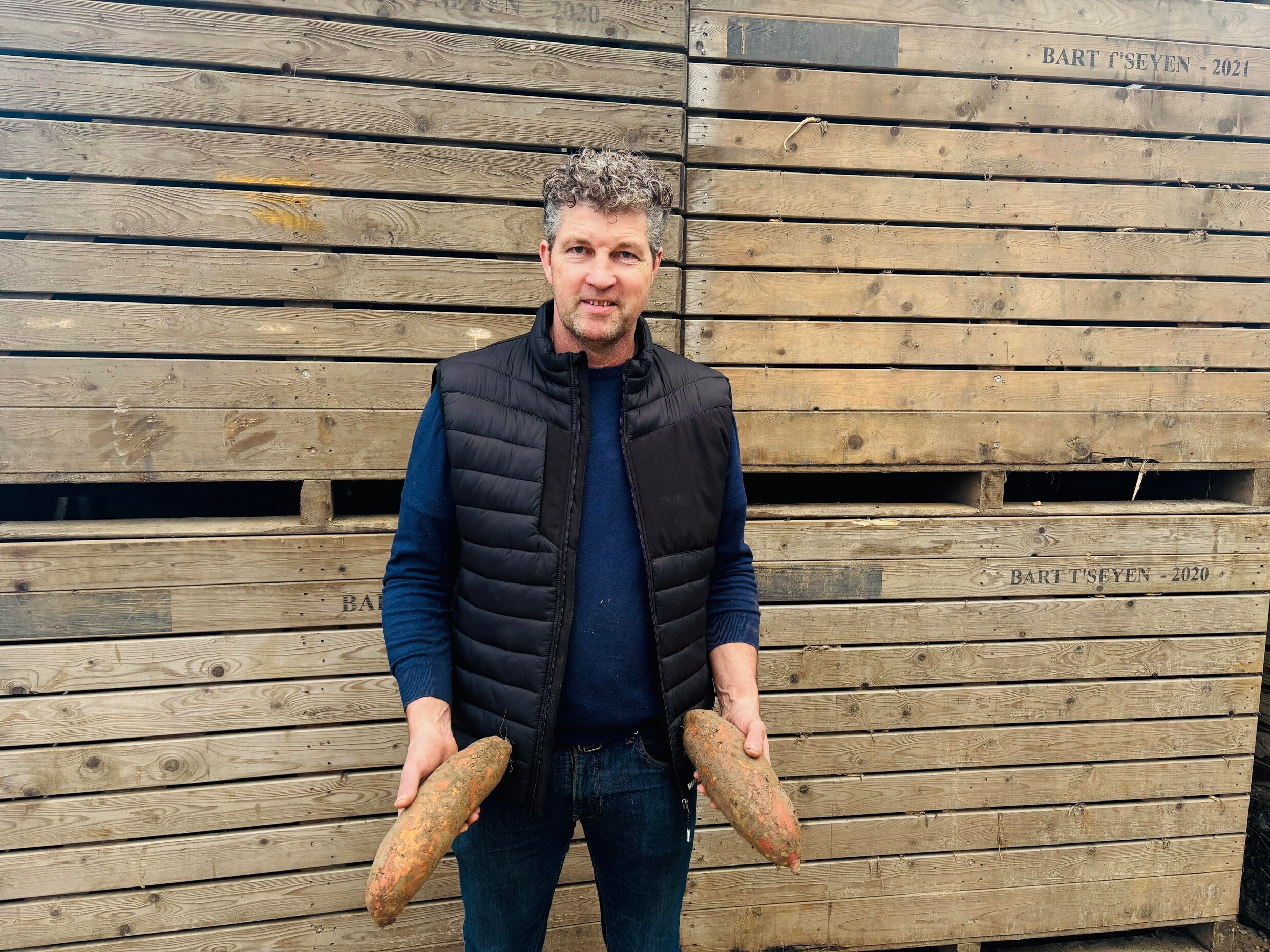 Boer Bart T’Seyen blijft zitten met 50 ton zoete aardappelen: Waste ...