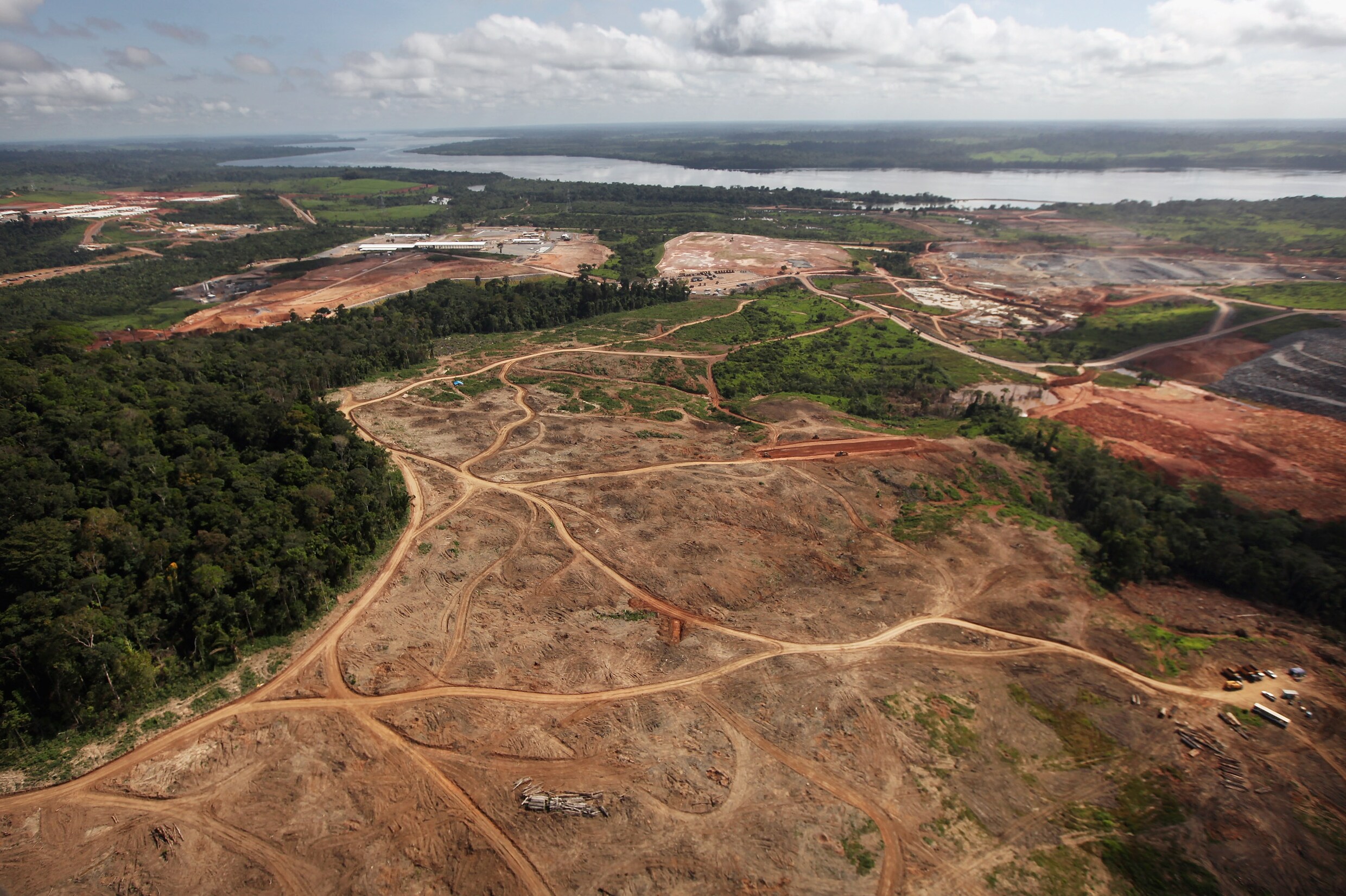 Boskap in Amazone blijkt 'no-win'-scenario | De Morgen