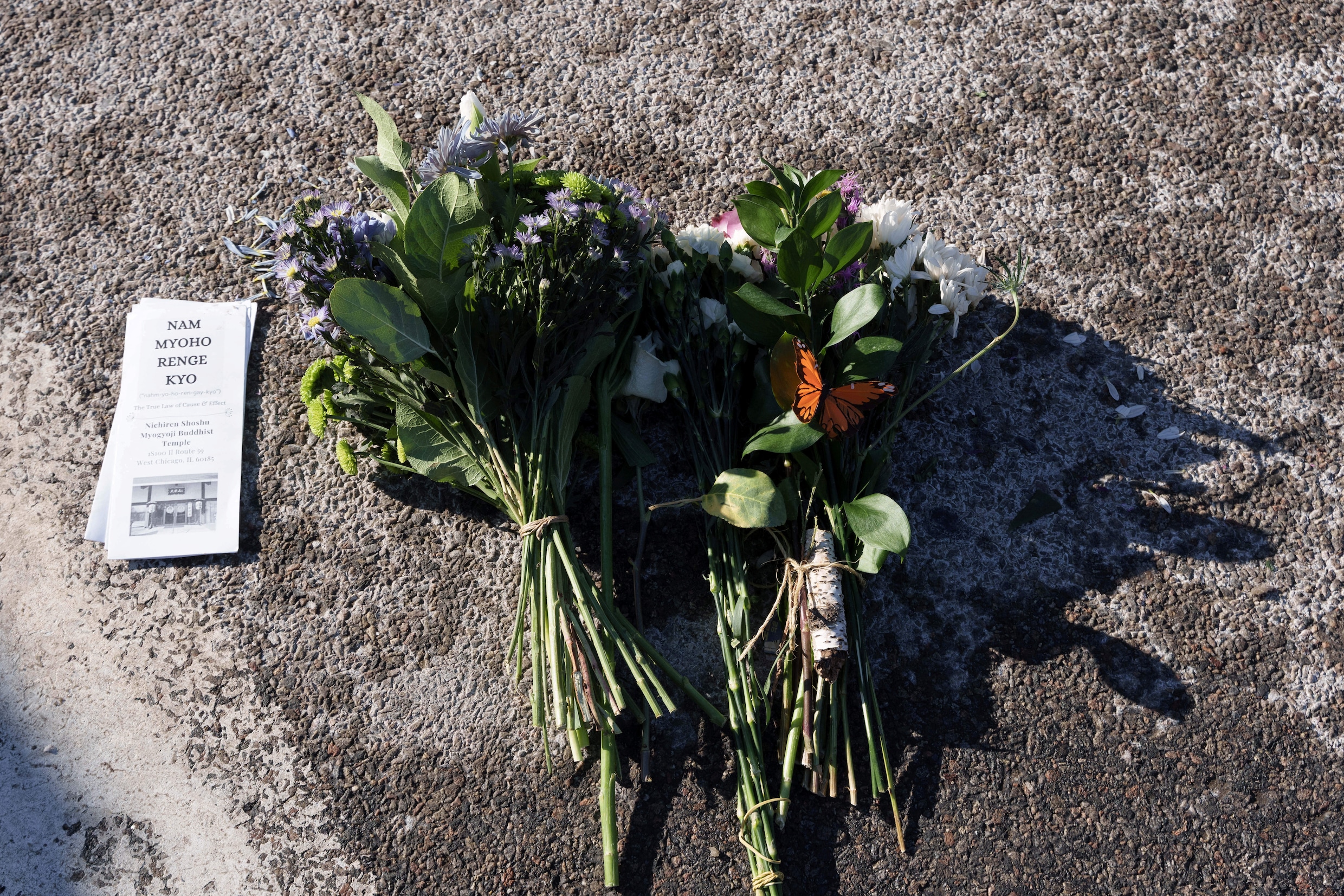 Live - VS. Ex-president Barack Obama reageert op dood Alex Pretti: ‘Dit ...