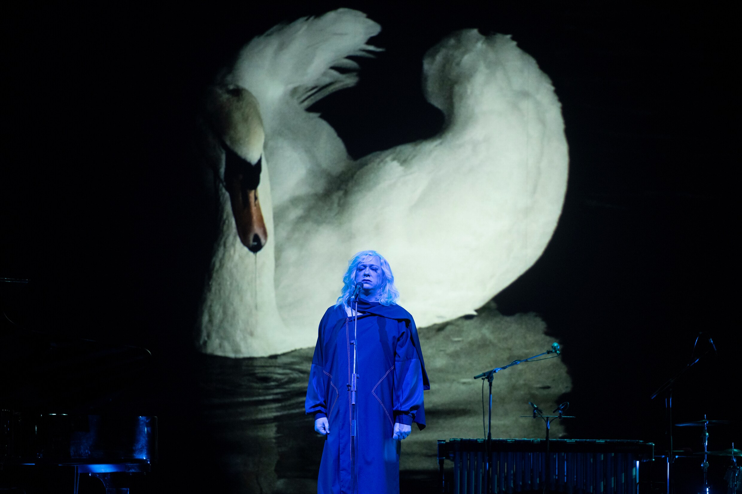 Anohni: ‘Ik ben er almaar meer van overtuigd dat het patriarchaat is ...