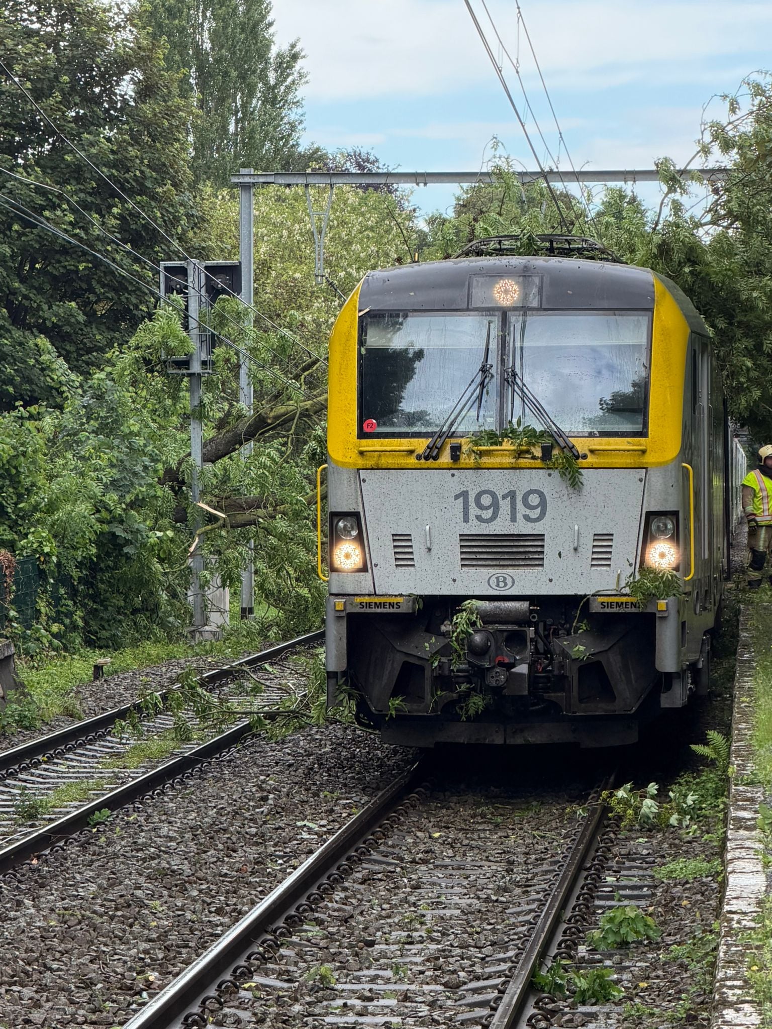 Boom valt op trein in Ukkel en legt spoorverkeer stil: geen gewonden ...
