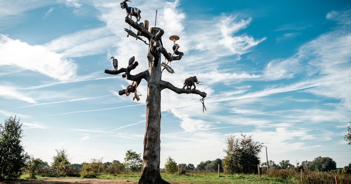 Kunst langs de Maas, want te weinig kunst in Limburgse musea | De Morgen