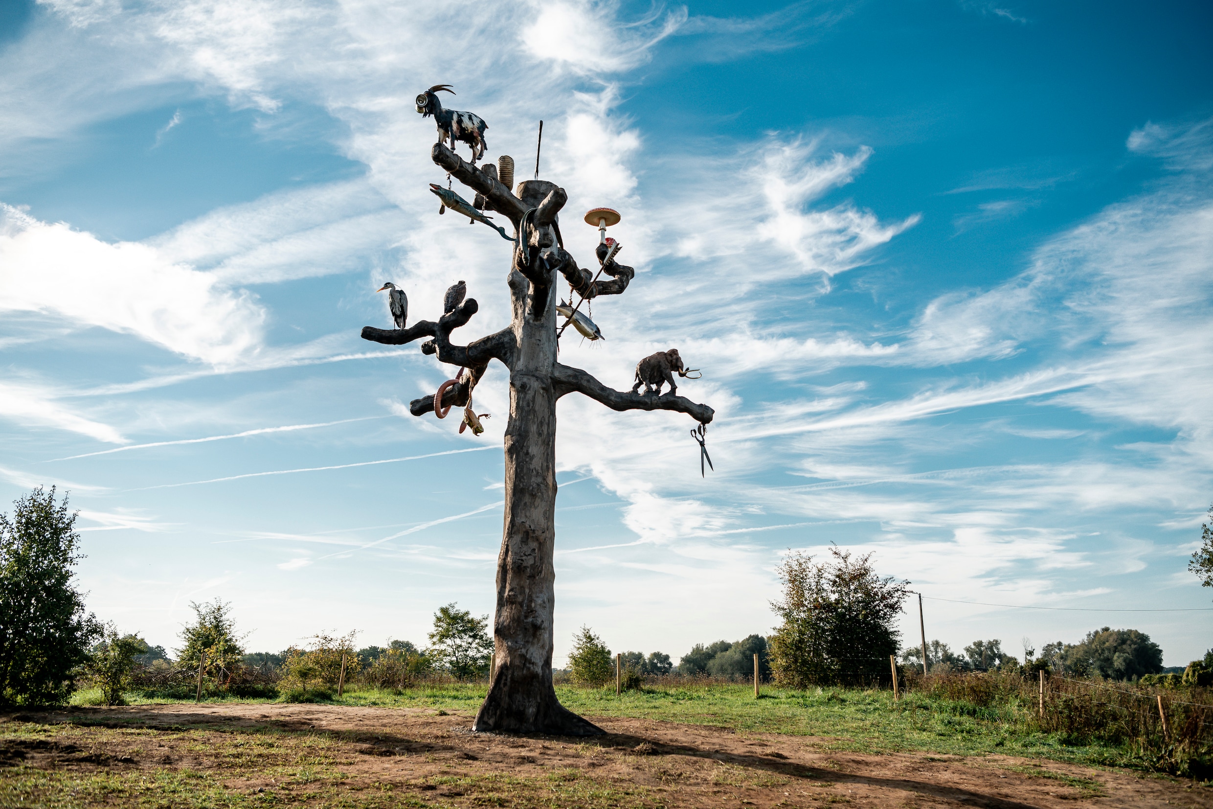 Kunst langs de Maas, want te weinig kunst in Limburgse musea | De Morgen