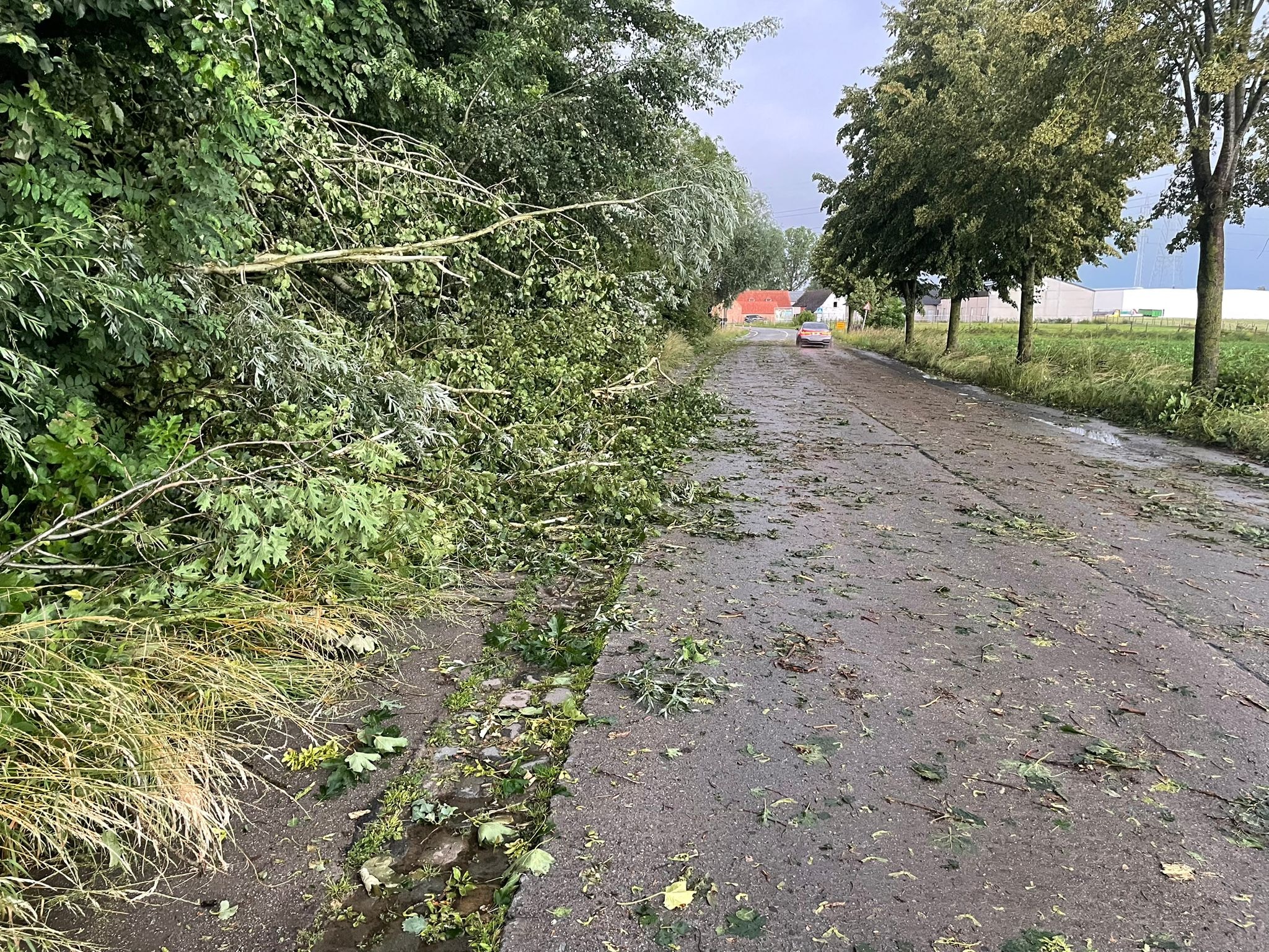 Live - Deze avond code geel voor onweer in heel het land: mogelijk ...