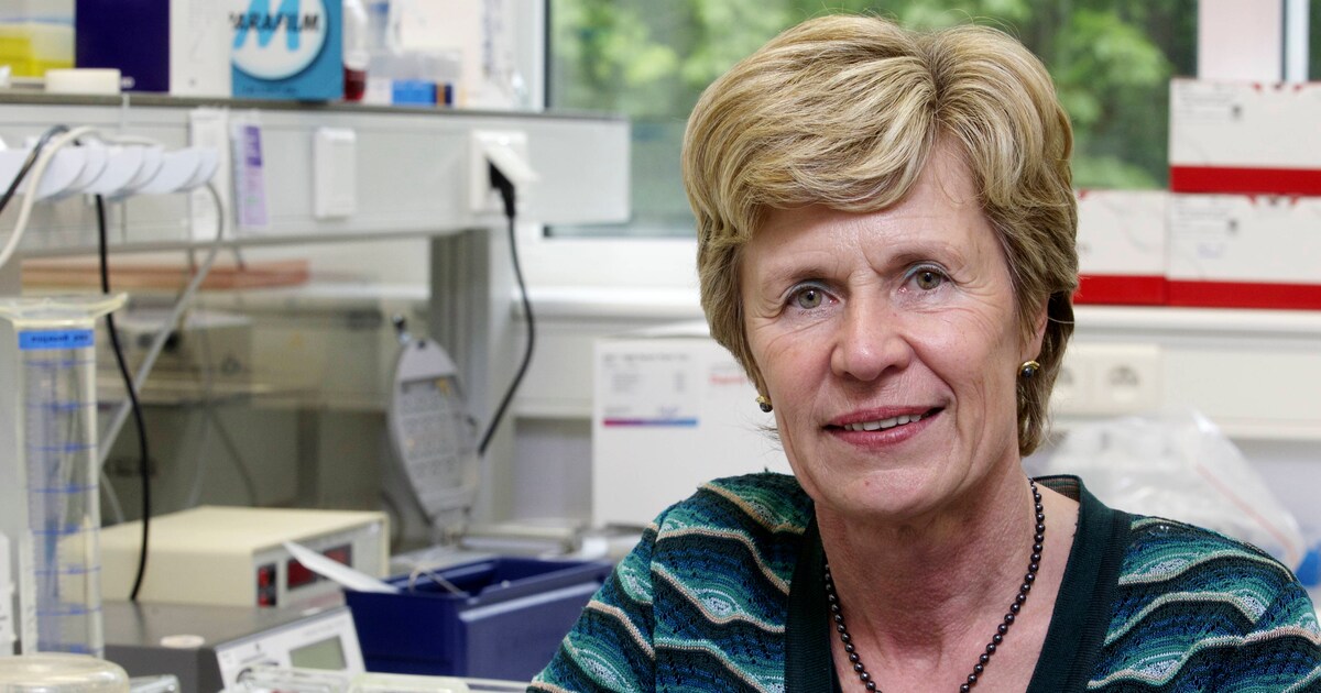 Rector: "UGent wankelt niet" | De Morgen