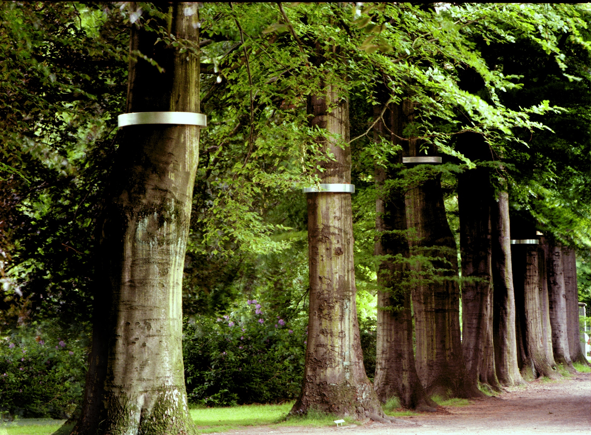 In memoriam: Jef Geys, Vlaanderens invloedrijkste kunstenaar | De Morgen