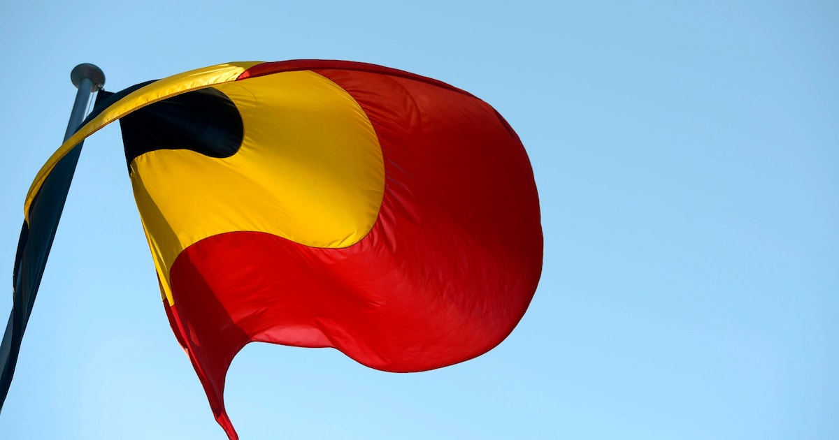 Belgische vlag hangt al 183 jaar verkeerd | De Morgen