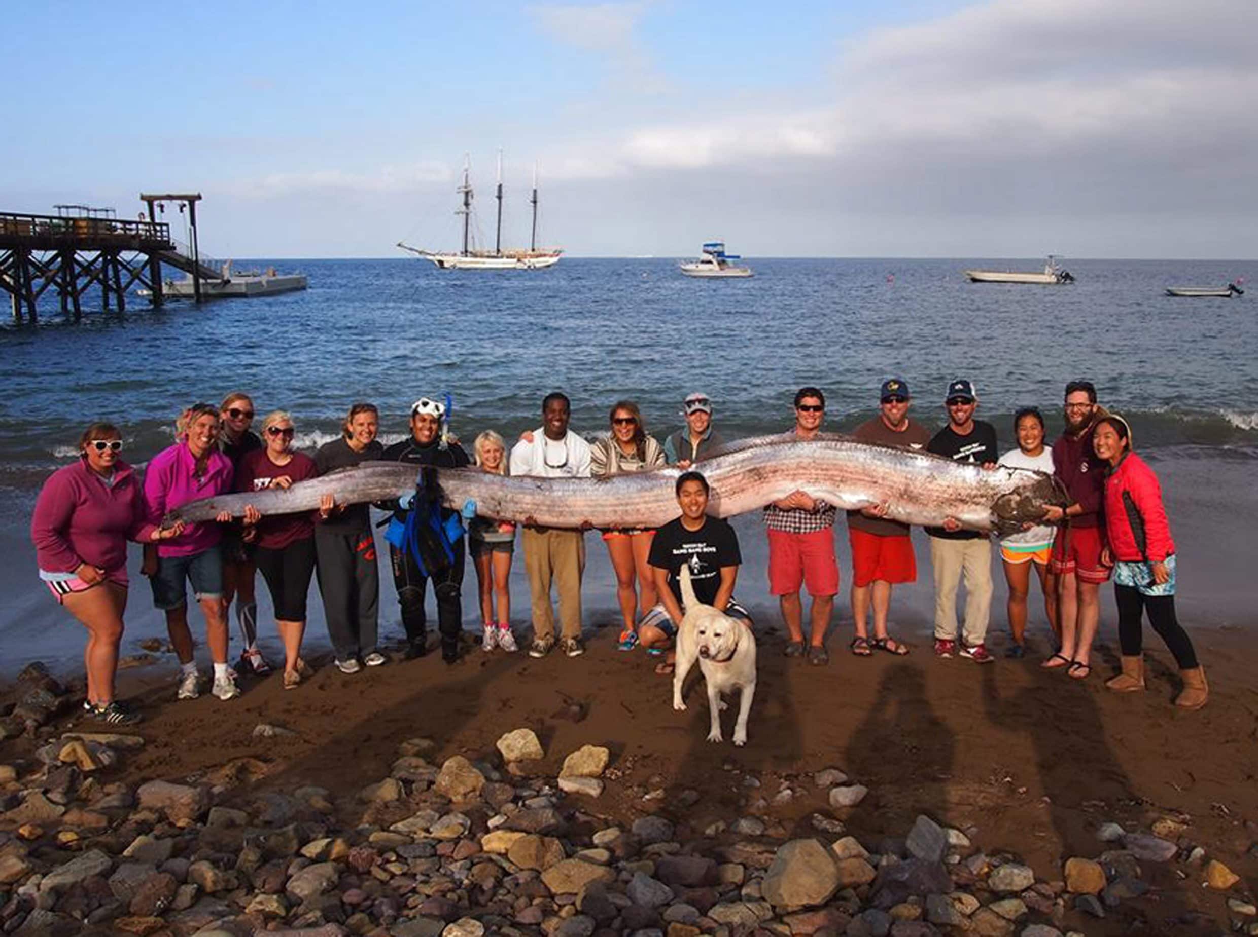 Hoe vaak komt het Monster van Loch Ness nog boven water? | De Morgen