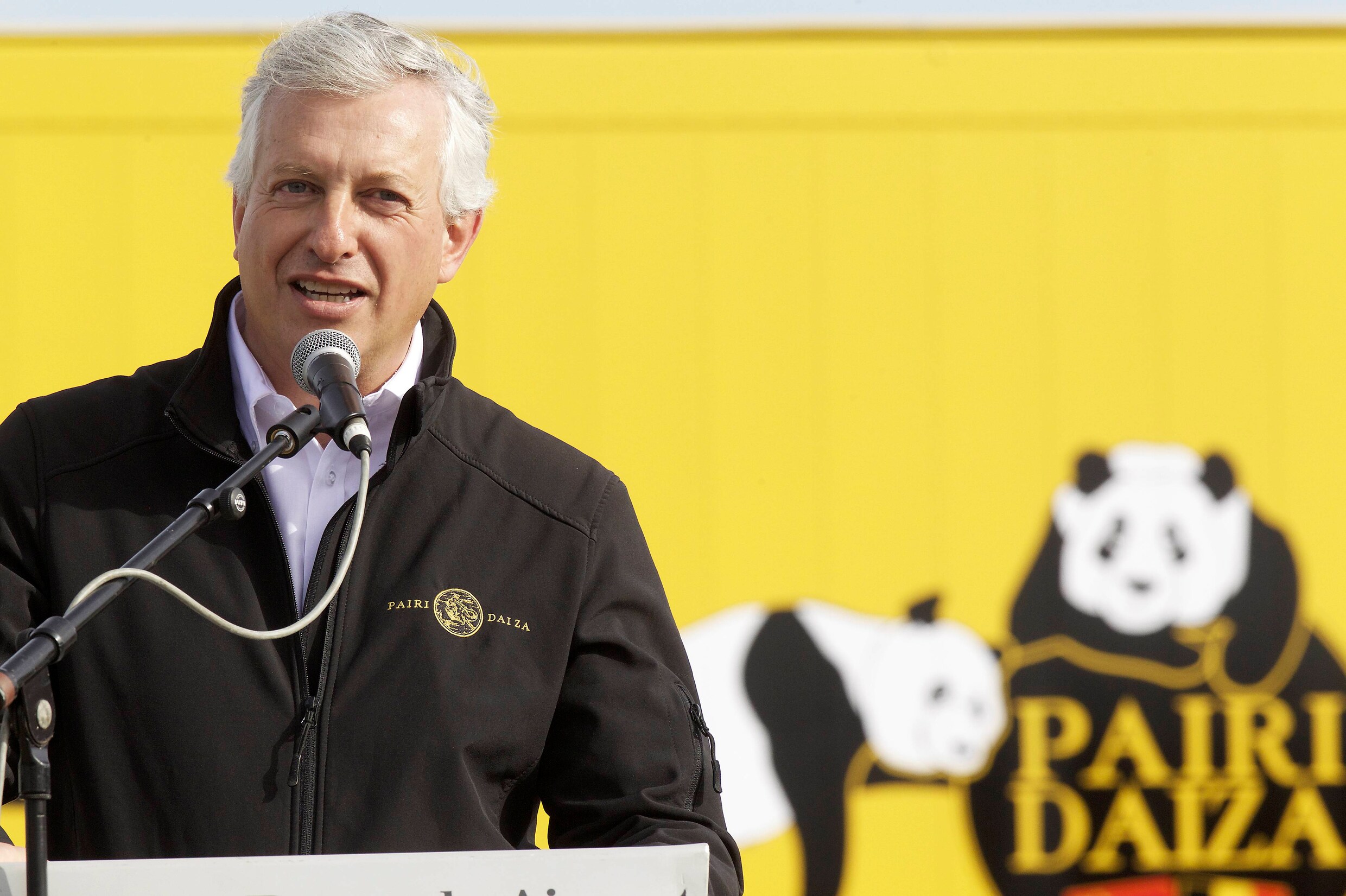 KMDA: "Hebben nooit confrontatie met Pairi Daiza opgezocht" | De Morgen