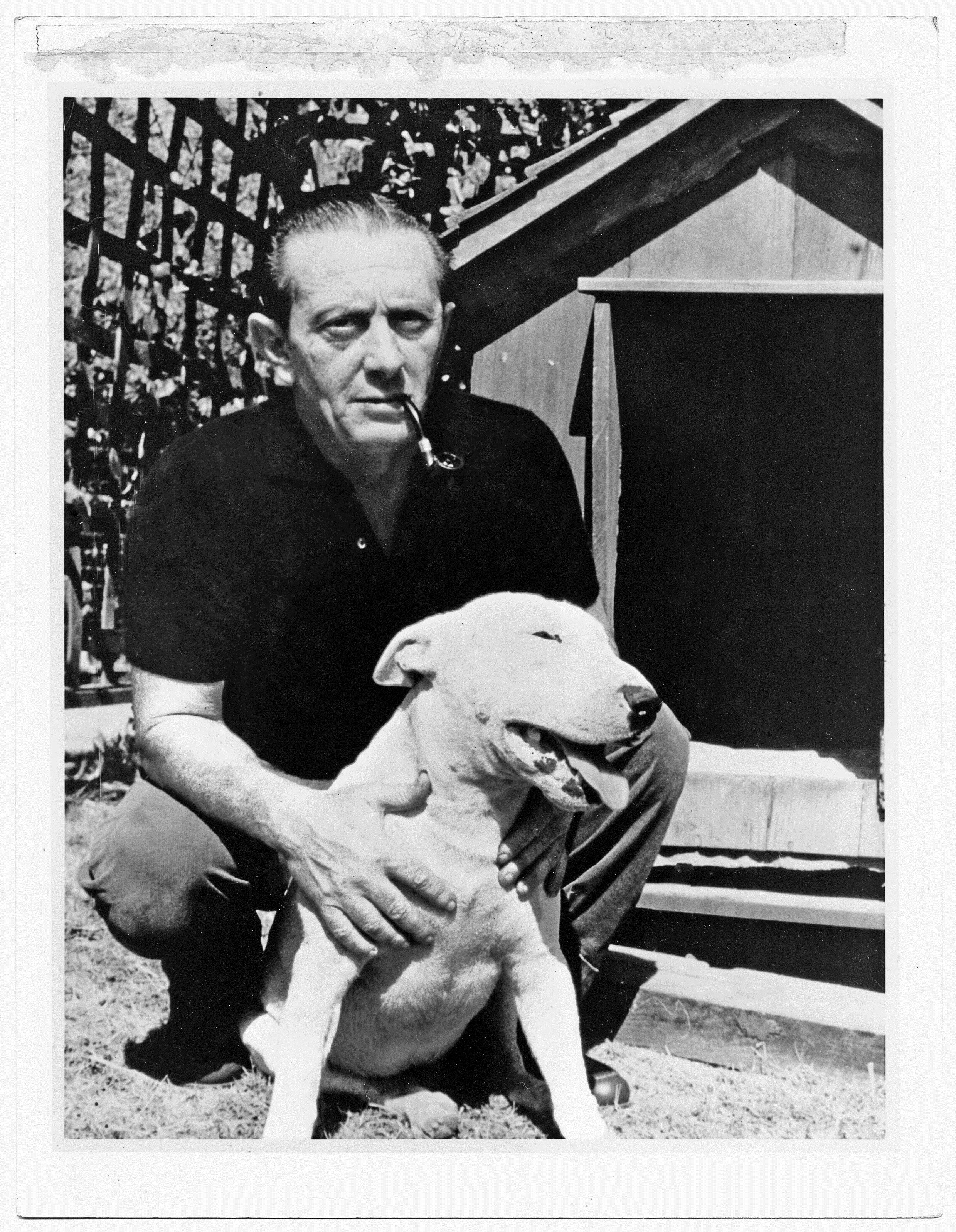 Een scheve lantaarnpaal, een termietenplaag en passie voor cinema: deze ...