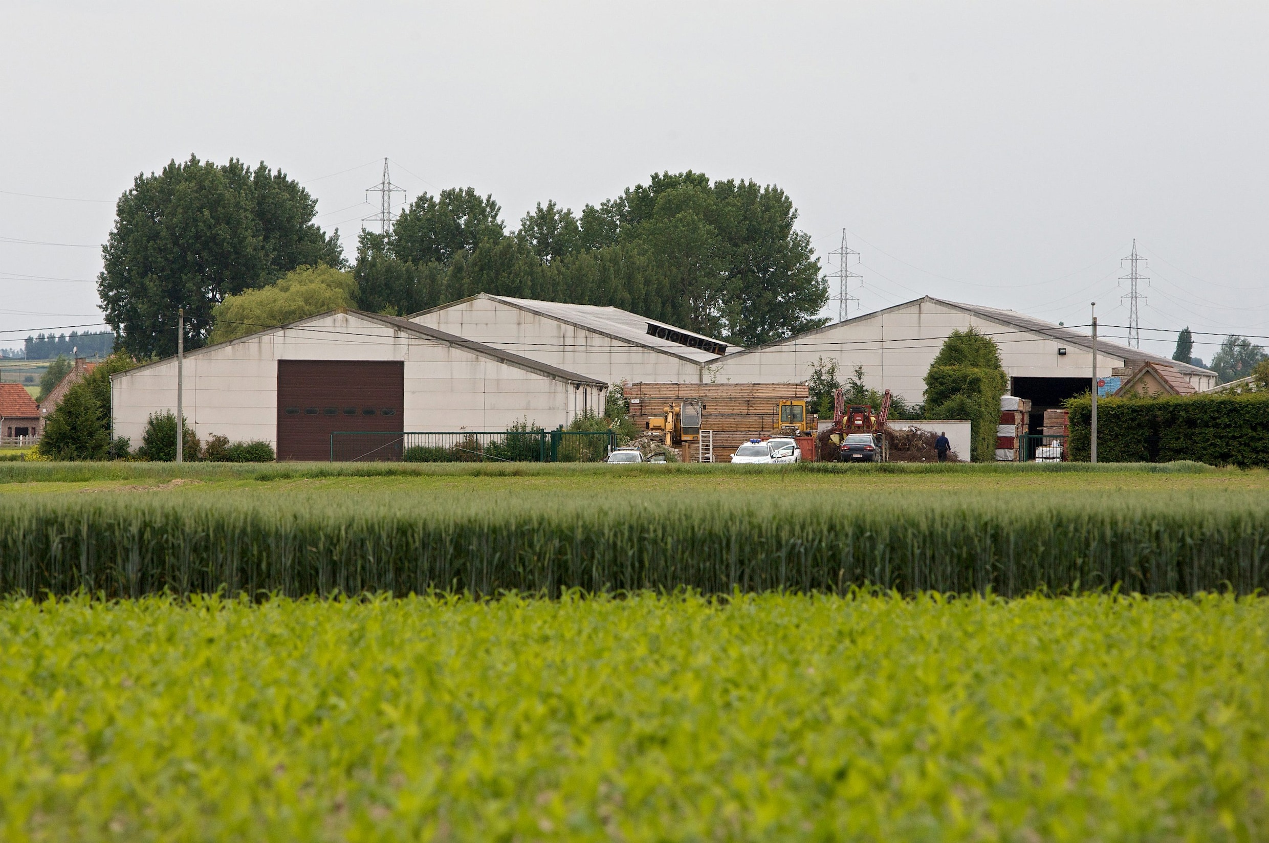 Patrick Lagrou gaat in beroep tegen nieuwe uitspraak | De Morgen