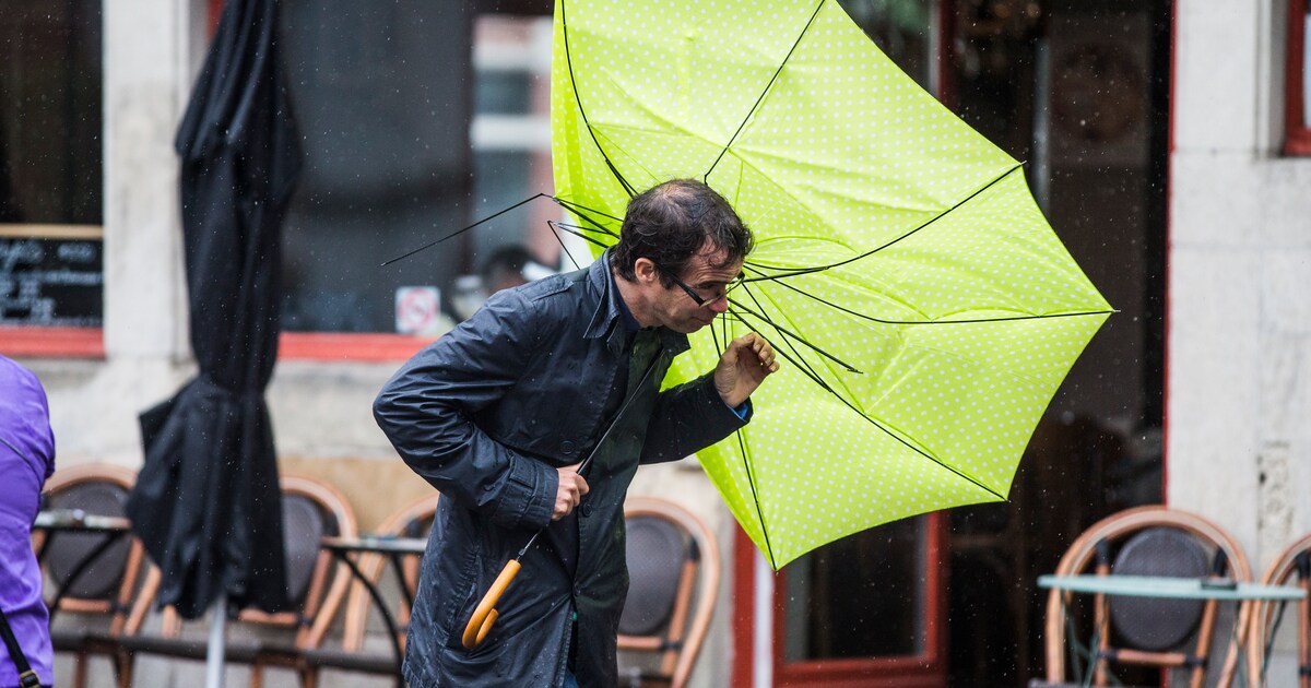 Code geel in Oost- en West-Vlaanderen: KMI waarschuwt voor veel regen ...