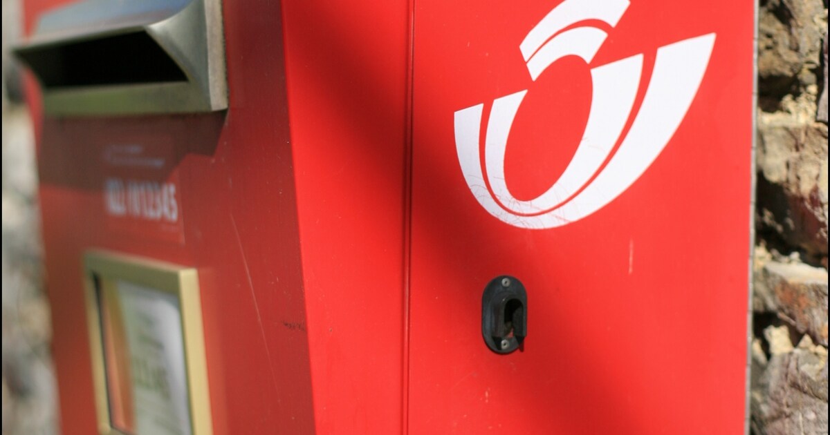 Postbode dumpt brieven in bos | De Morgen