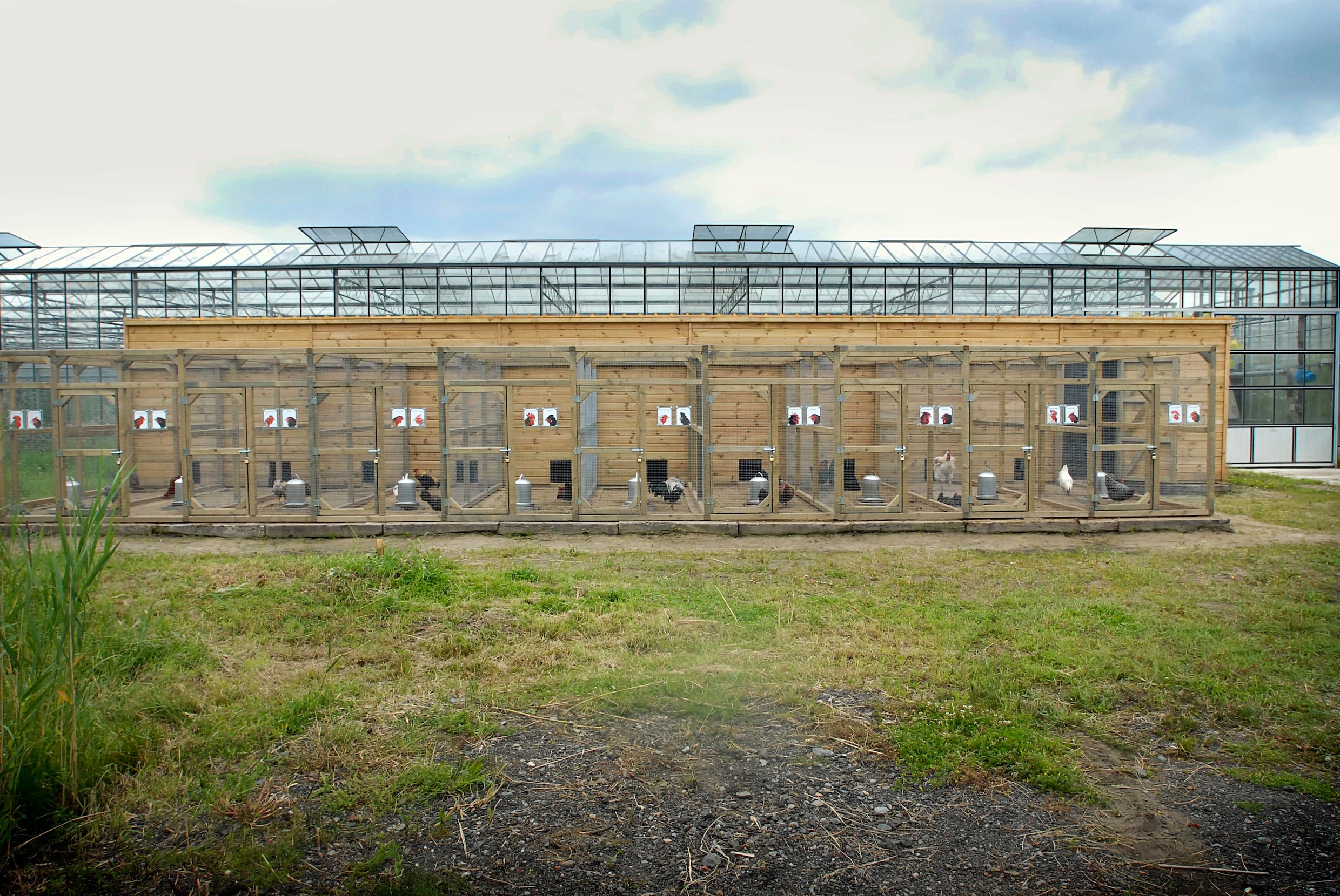 Naakte zwemmers of sculpturen van wc-papier? Deze negen expo's mag u ...