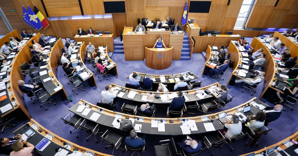 Verkiezingen Brussels Parlement 2019: alle uitslagen | De Morgen