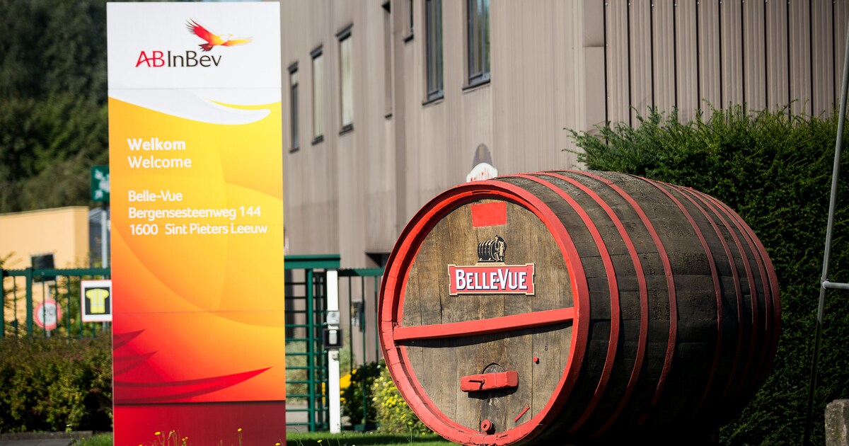 AB InBev lanceert verschillende nieuwe bieren | De Morgen