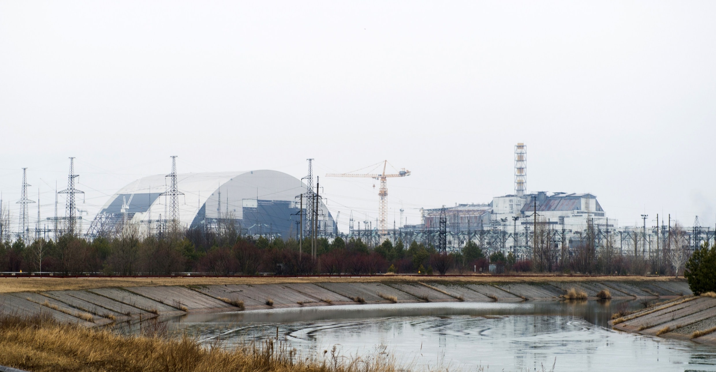 Natuur rondom Tsjernobyl krioelt van het wild | De Morgen