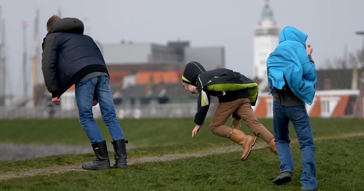 Droog maar winderig weekend op komst | De Morgen