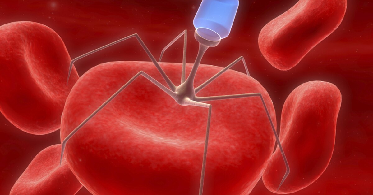 Nieuwe therapie veelbelovend voor 'onbehandelbare' leukemie | De Morgen