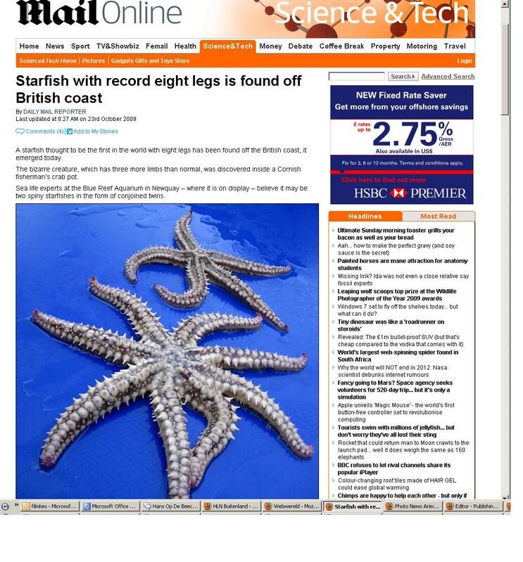 Zeester met acht poten duikt op in Engeland | De Morgen