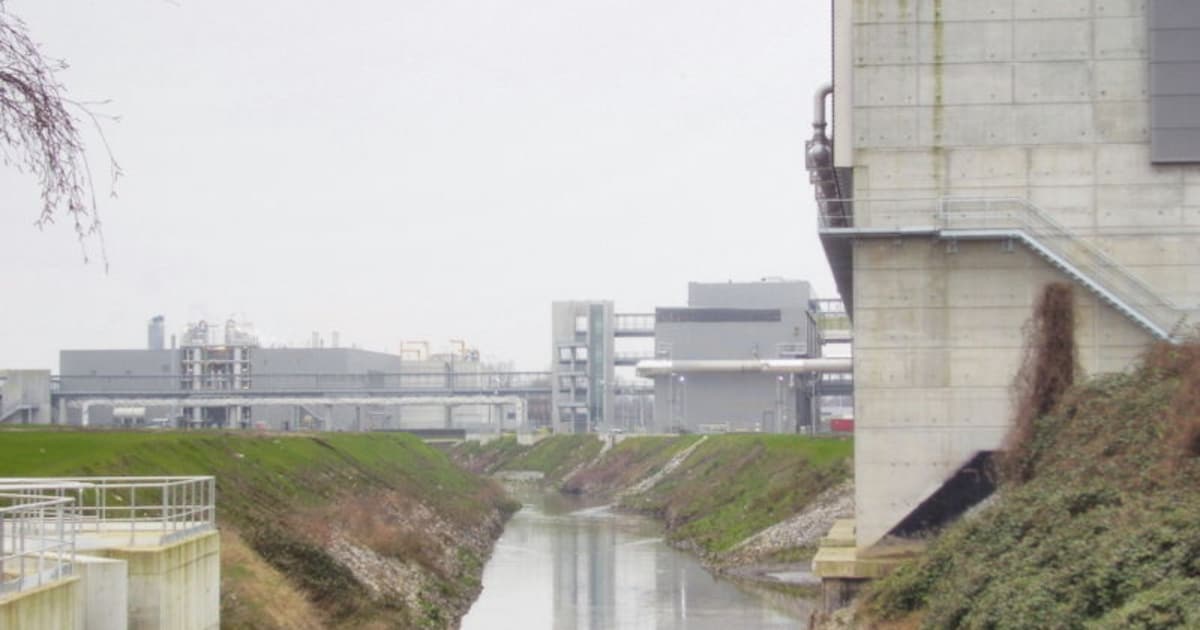 Brussels afvalwater stroomt ongezuiverd in rivieren: politici deden drie weken lang niks | De Morgen