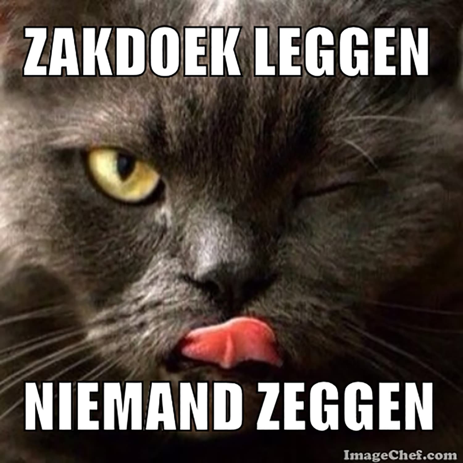 Waarom haast elke meme dit lettertype gebruikt | De Morgen