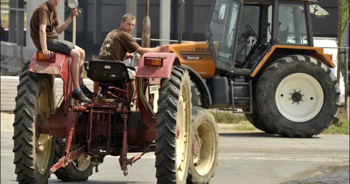 Waalse regering geeft extra steun aan melkproducenten | De Morgen