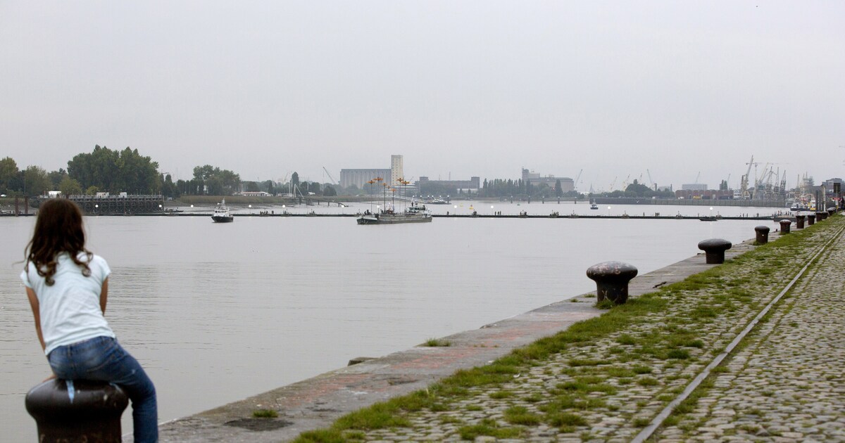 De brug over de Schelde: 300 cruciale meters uit Wereldoorlog I | De Morgen